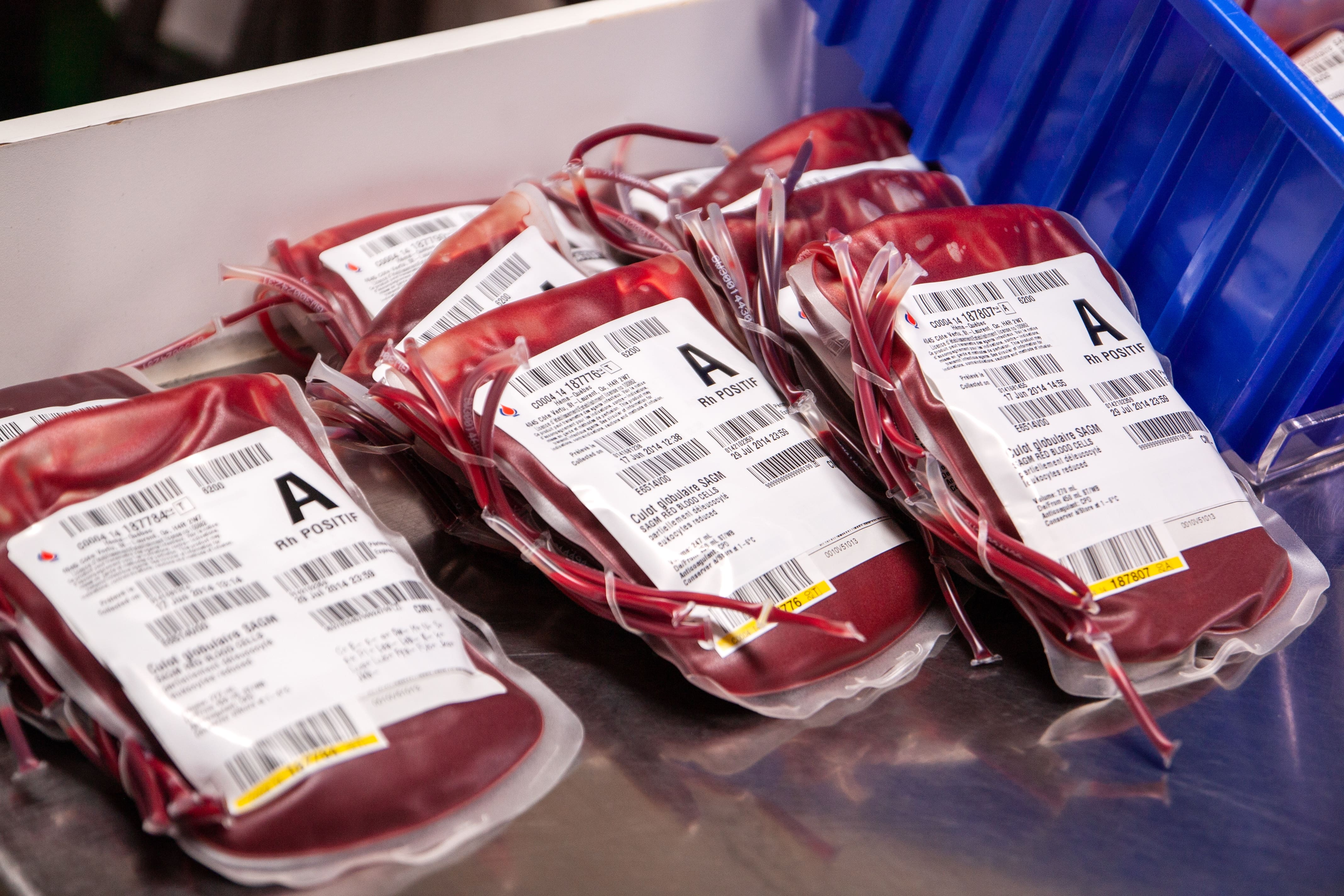 Don de sang: tout ce qu’il faut savoir | JDM