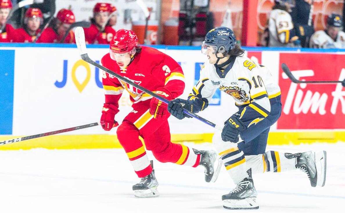 LHJMQ: le Drakkar malmené par les Cataractes | JDQ