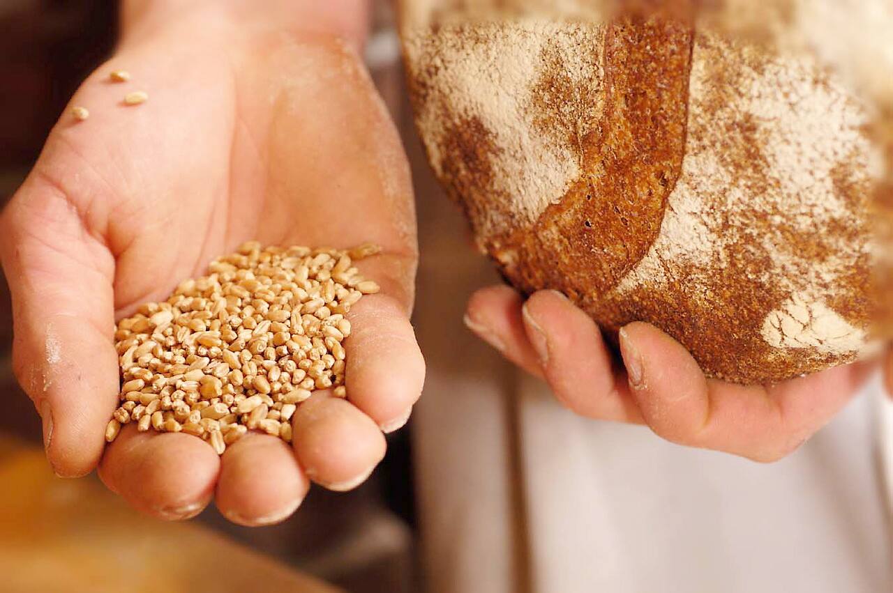 Commencer l’année du bon pied en s’inspirant du mouvement Slow Food | JDM