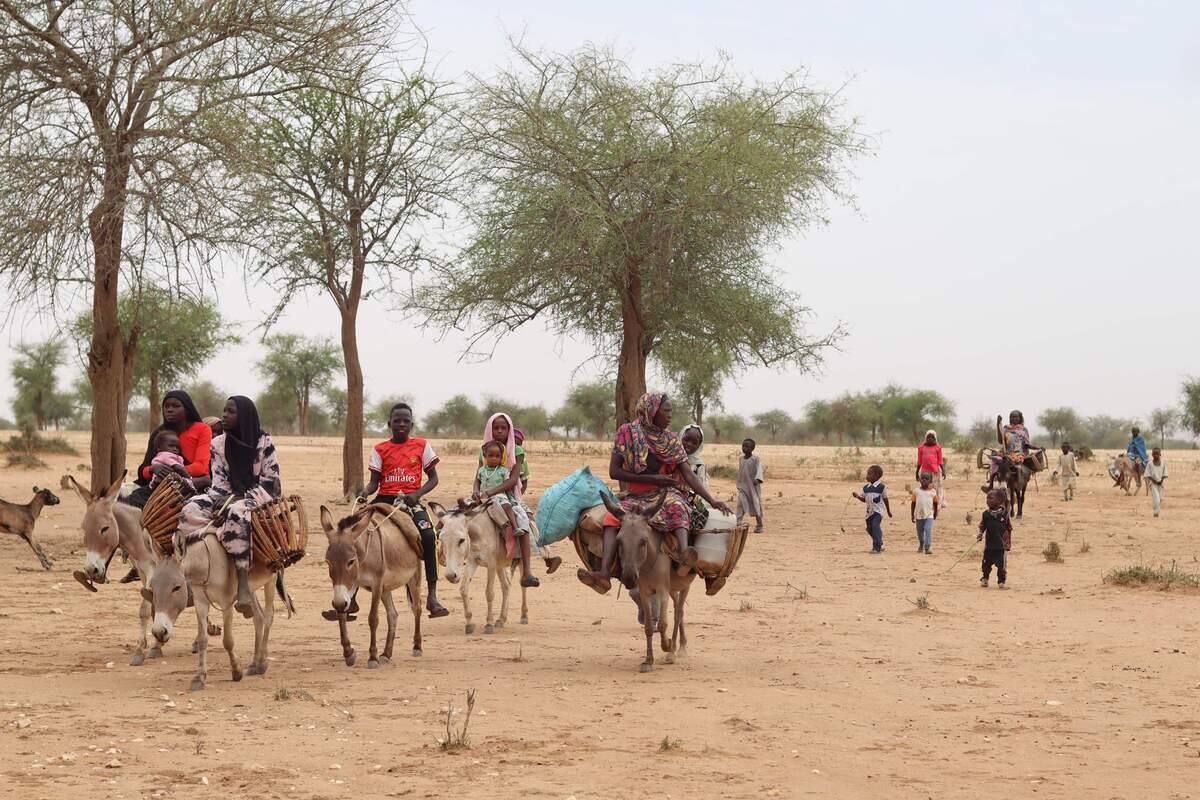 "Deadly Cattle Rustling and Conflict in Southern Chad: Latest News and ...