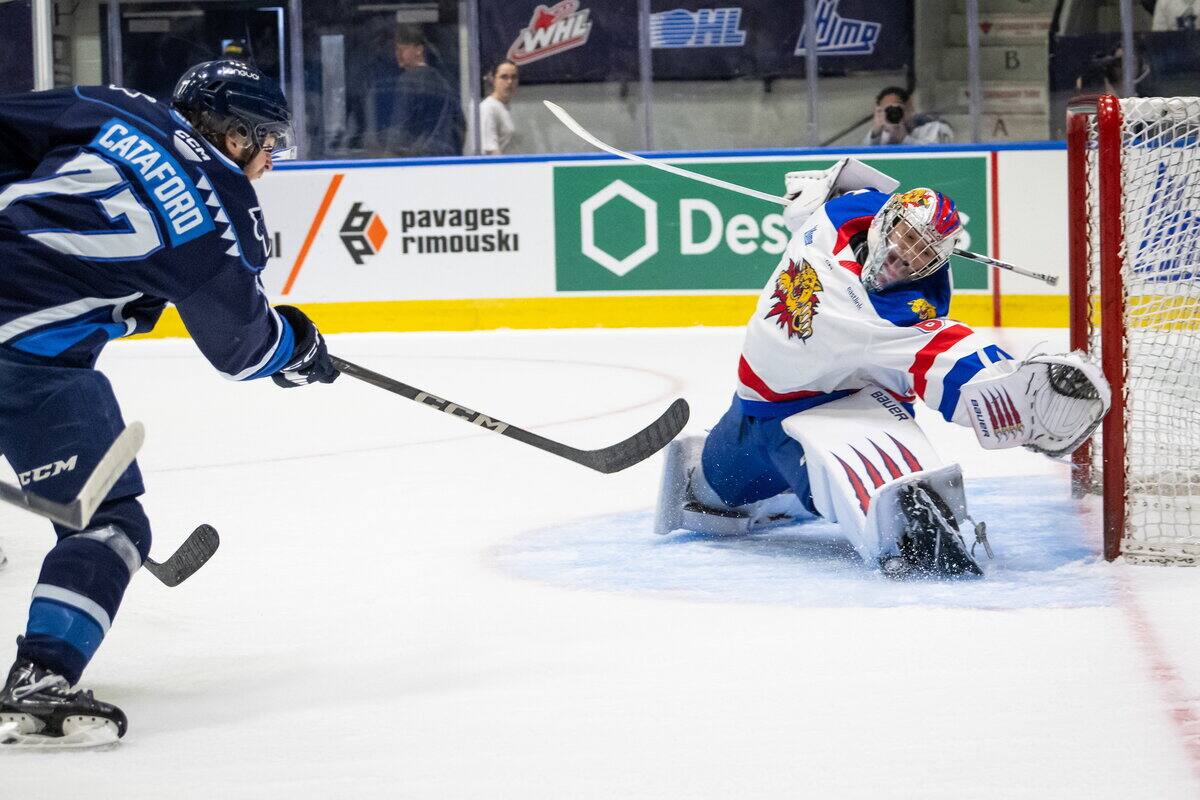 LHJMQ: les Wildcats sont champions du trophée Gilles-Courteau | JDQ
