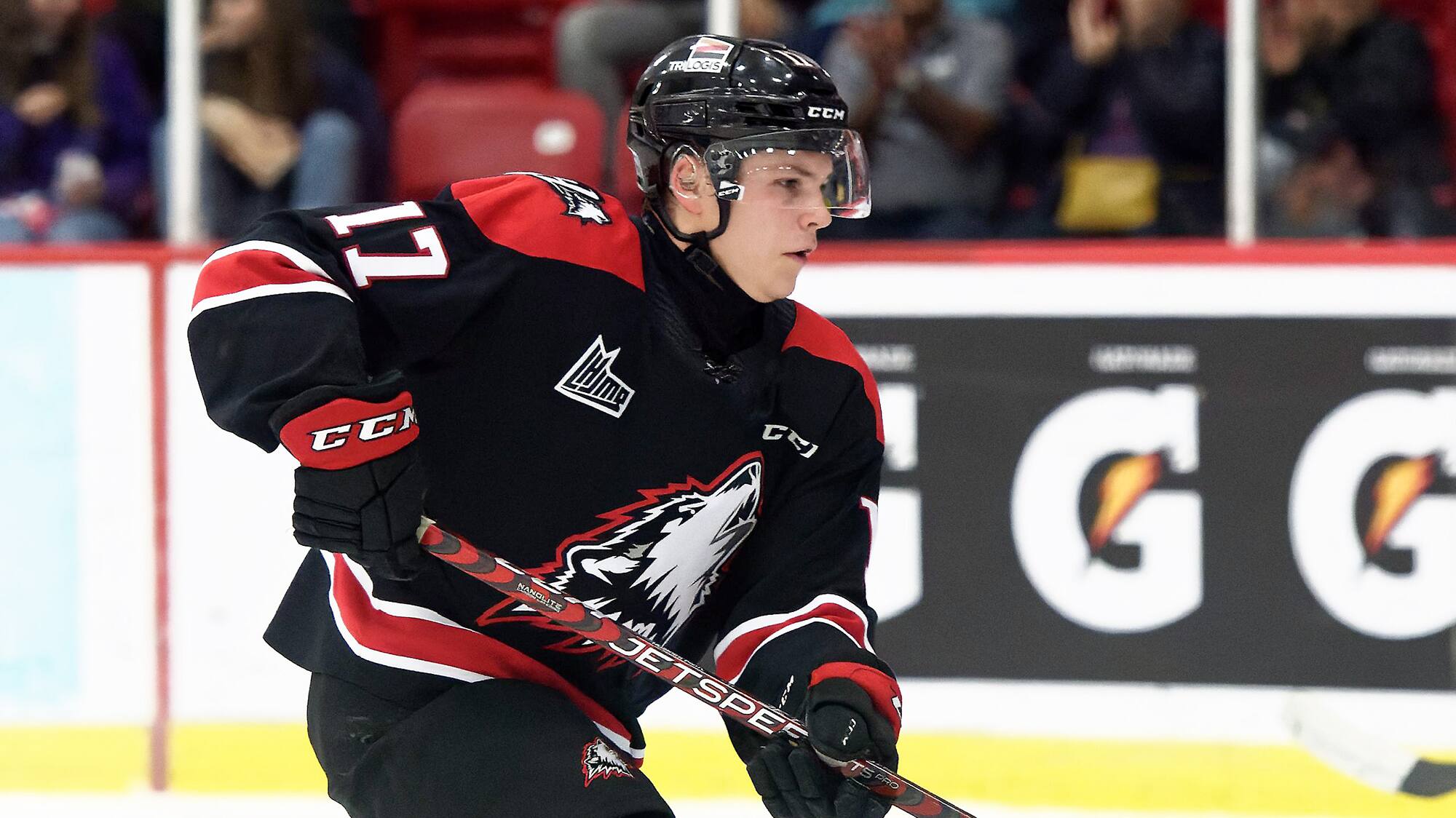 LHJMQ: l’attaquant Maxim Massé est le joyau des Saguenéens de ...