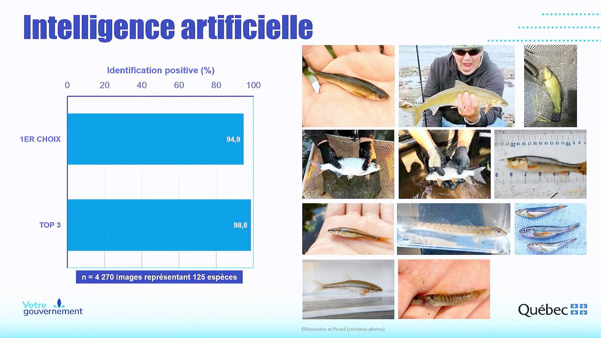 iPêche: une application pour identifier son poisson | JDQ