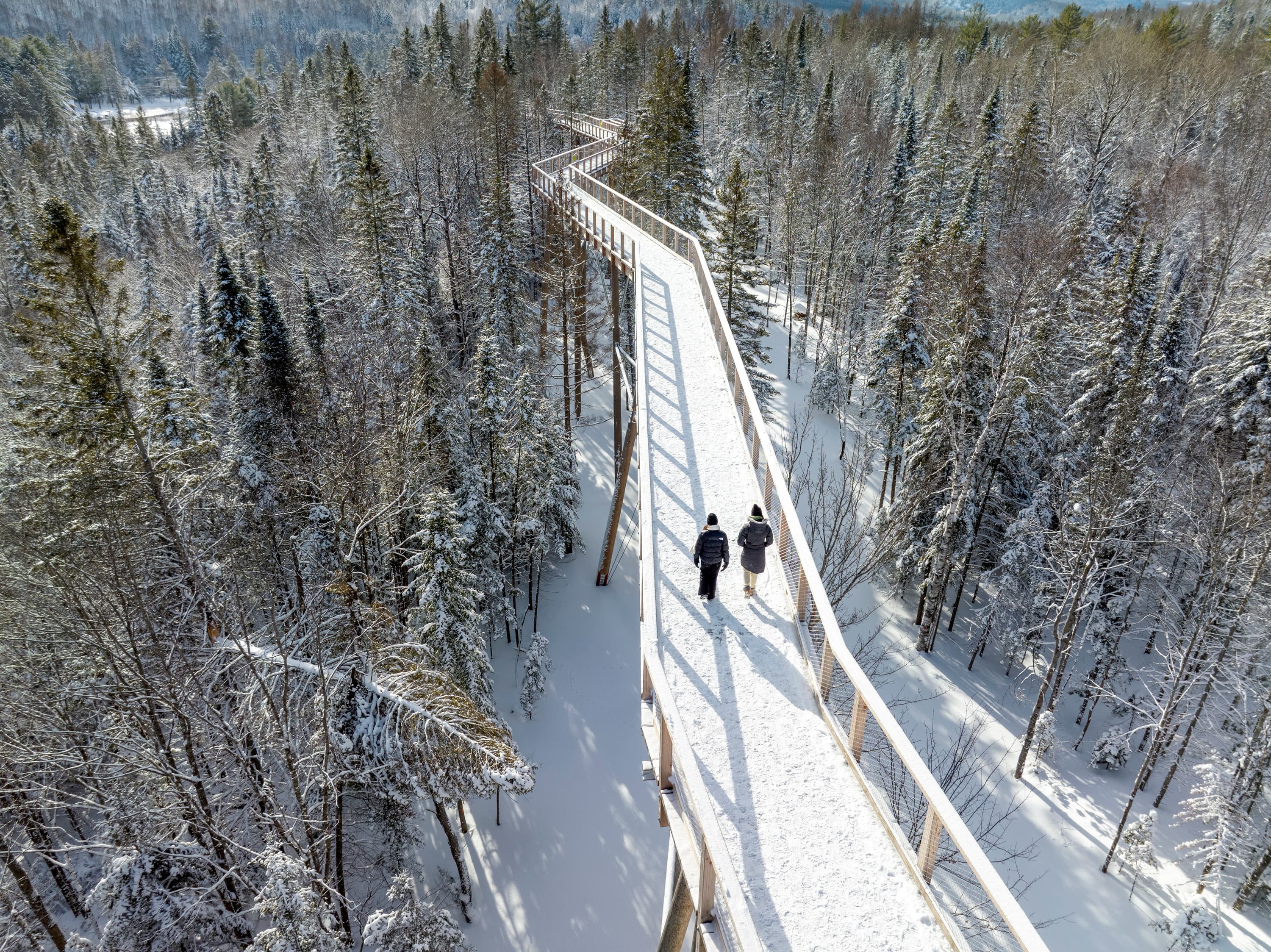 Le Sentier des cimes, un panorama unique près de Mont-Tremblant | JDM