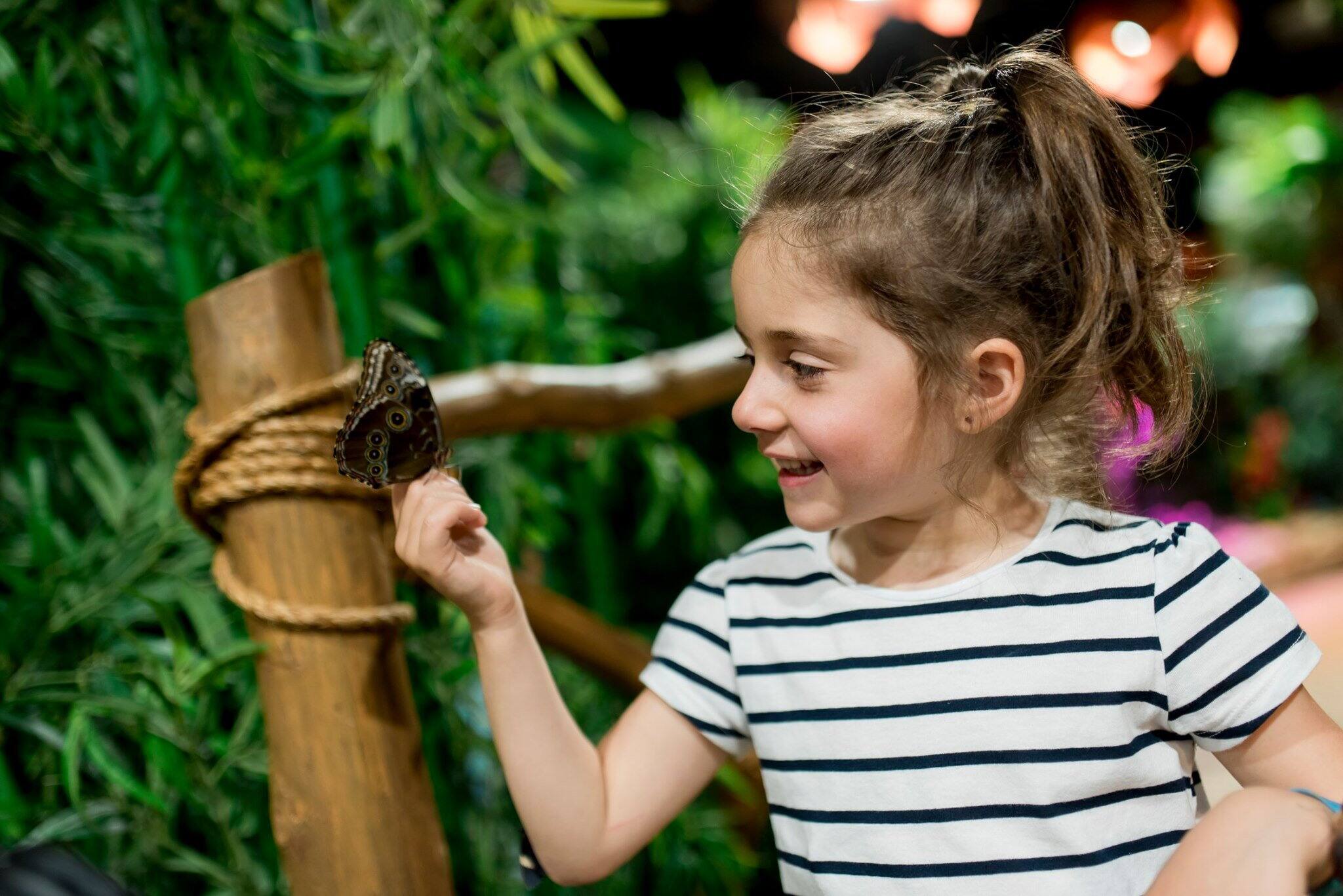 Investissement de 12 M$ pour Bfly qui ouvre deux centres d’amusement ...