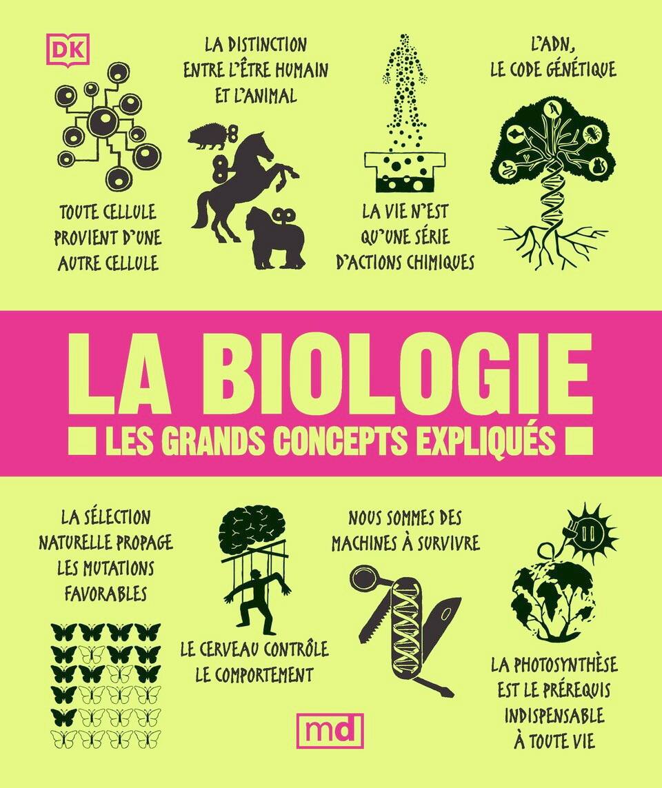 En mode lecture: une fascinante bio romancée | JDM