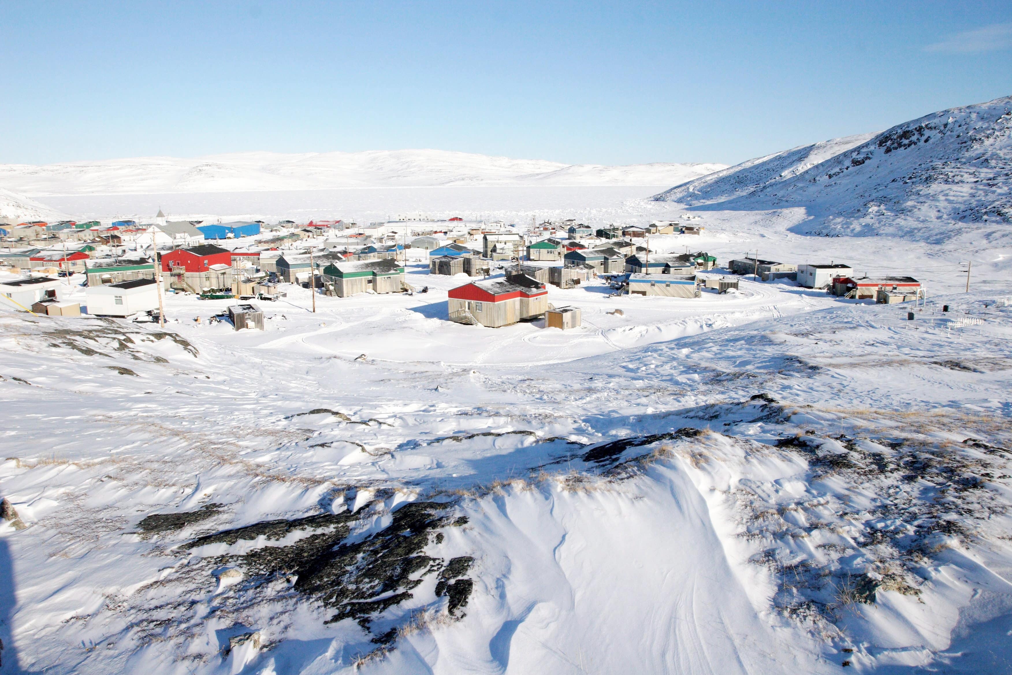 Un enfant de 4 ans tué après une attaque de chiens dans le village ...