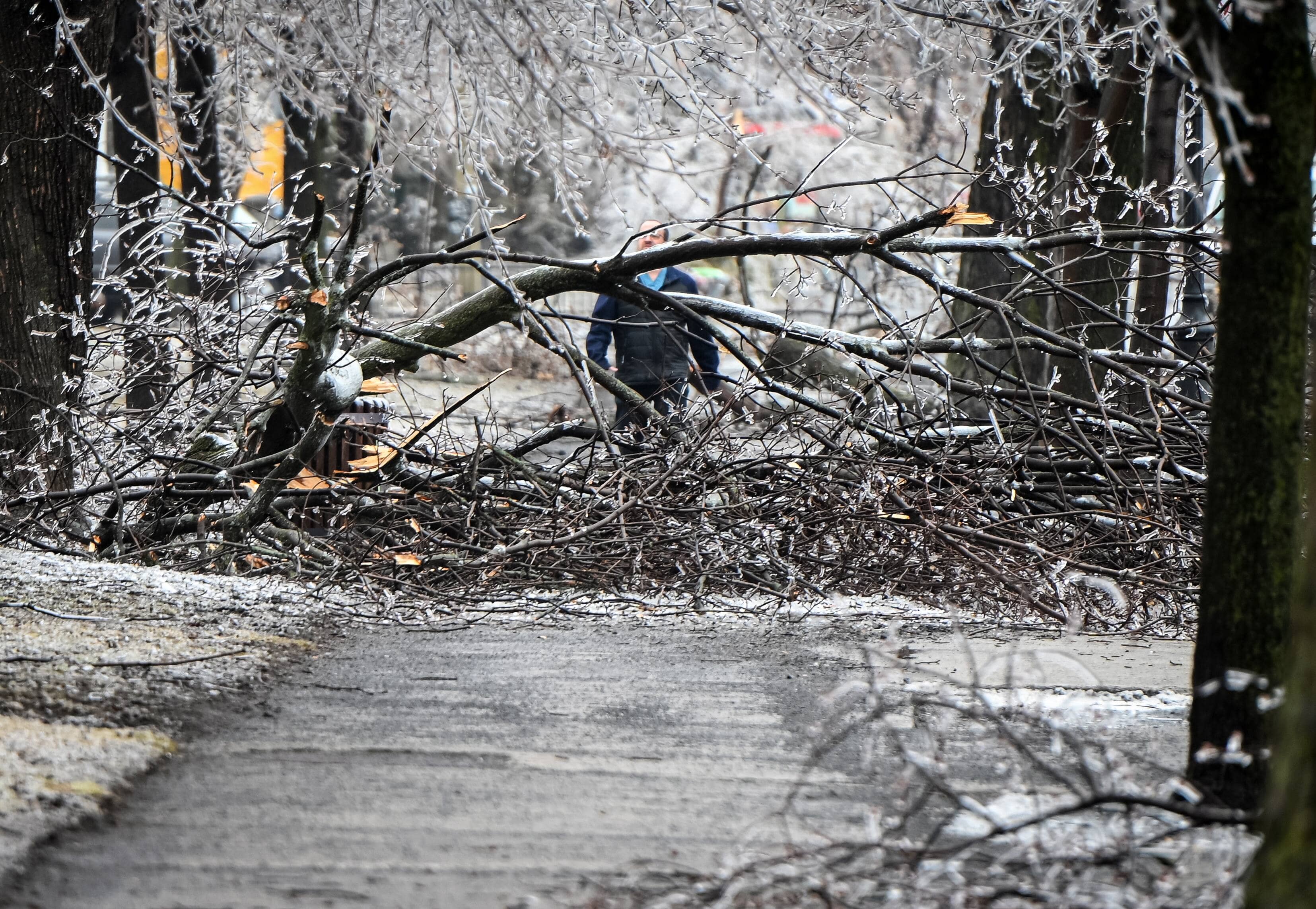[À VOIR] Voyez les dommages impressionnants laissés par le verglas | JDQ