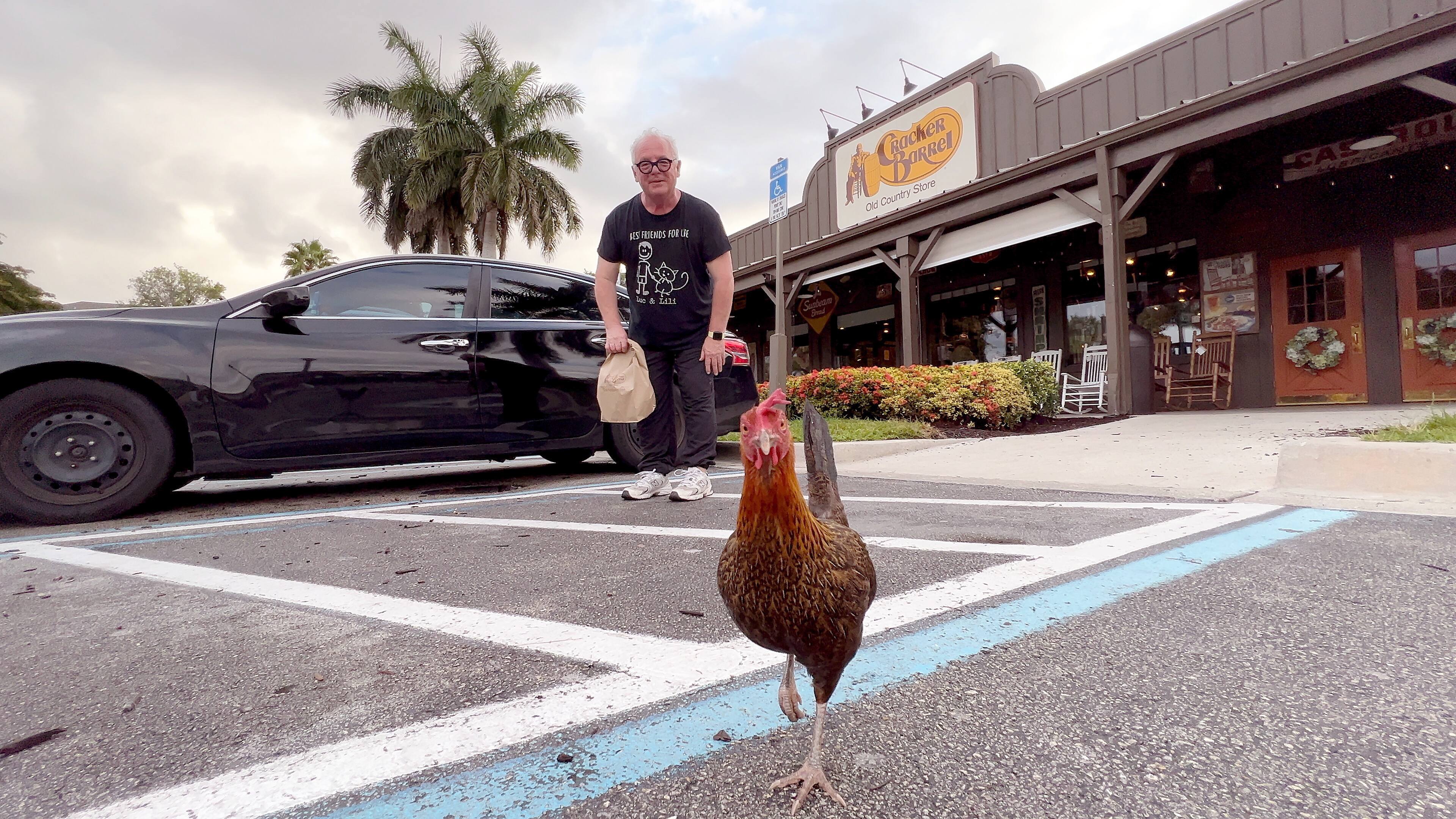 Vie de nomade de Luc Senay: profiter de la vie avant qu’il ne soit trop ...