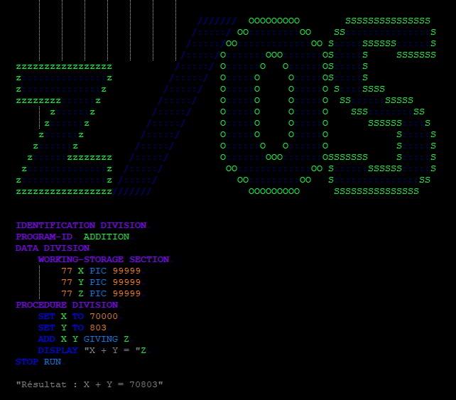 Appelez le gouvernement si vous parlez le Cobol | JDQ
