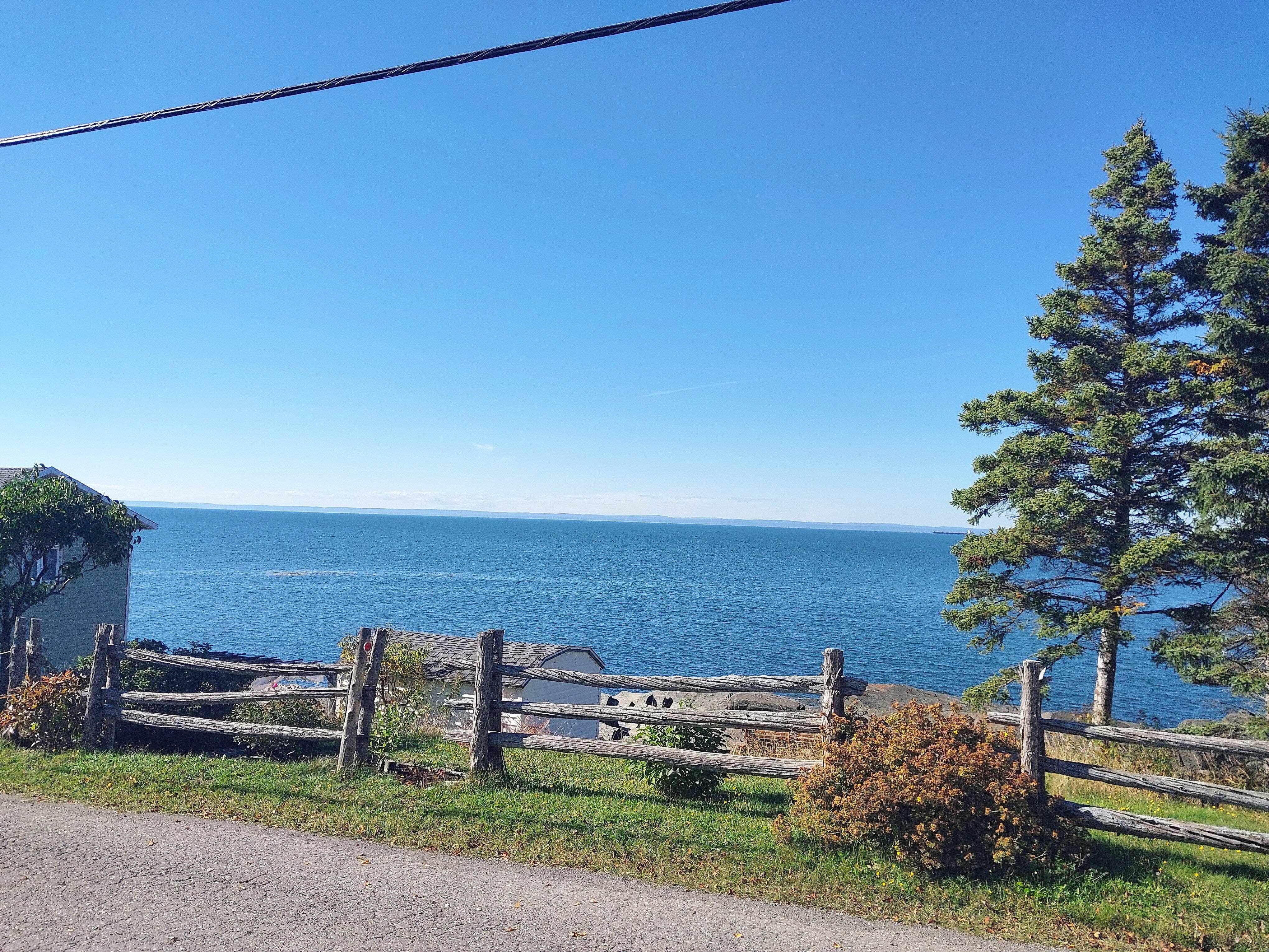 [VIDÉO] Romana Didulo: un couple de Québécois perd sa maison à cause de la «reine» complotiste | JDM