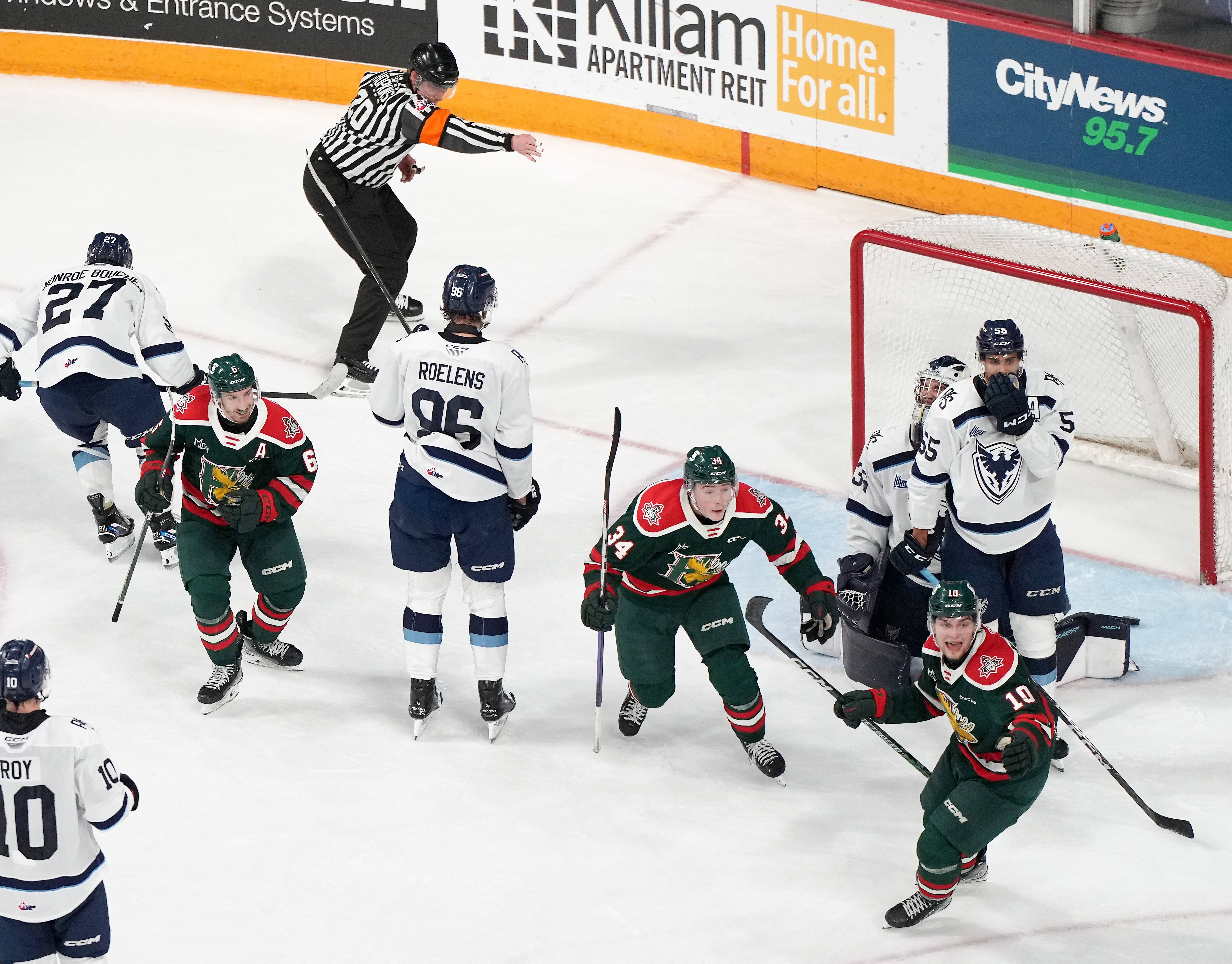 LHJMQ: les Mooseheads gardent leur calme malgré tout | JDM
