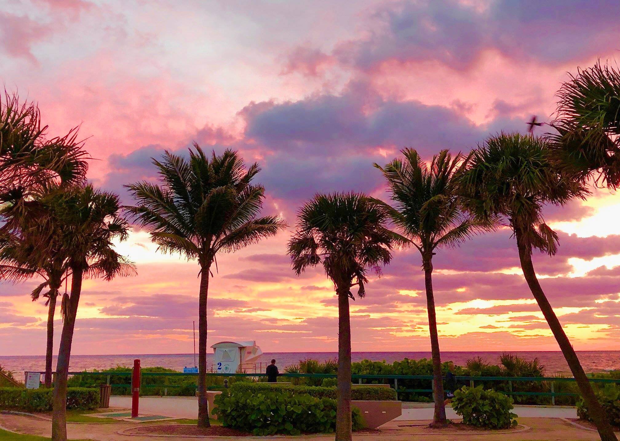 Floride: les incontournables de Patrick Norman et sa dulcinée Nathalie ...