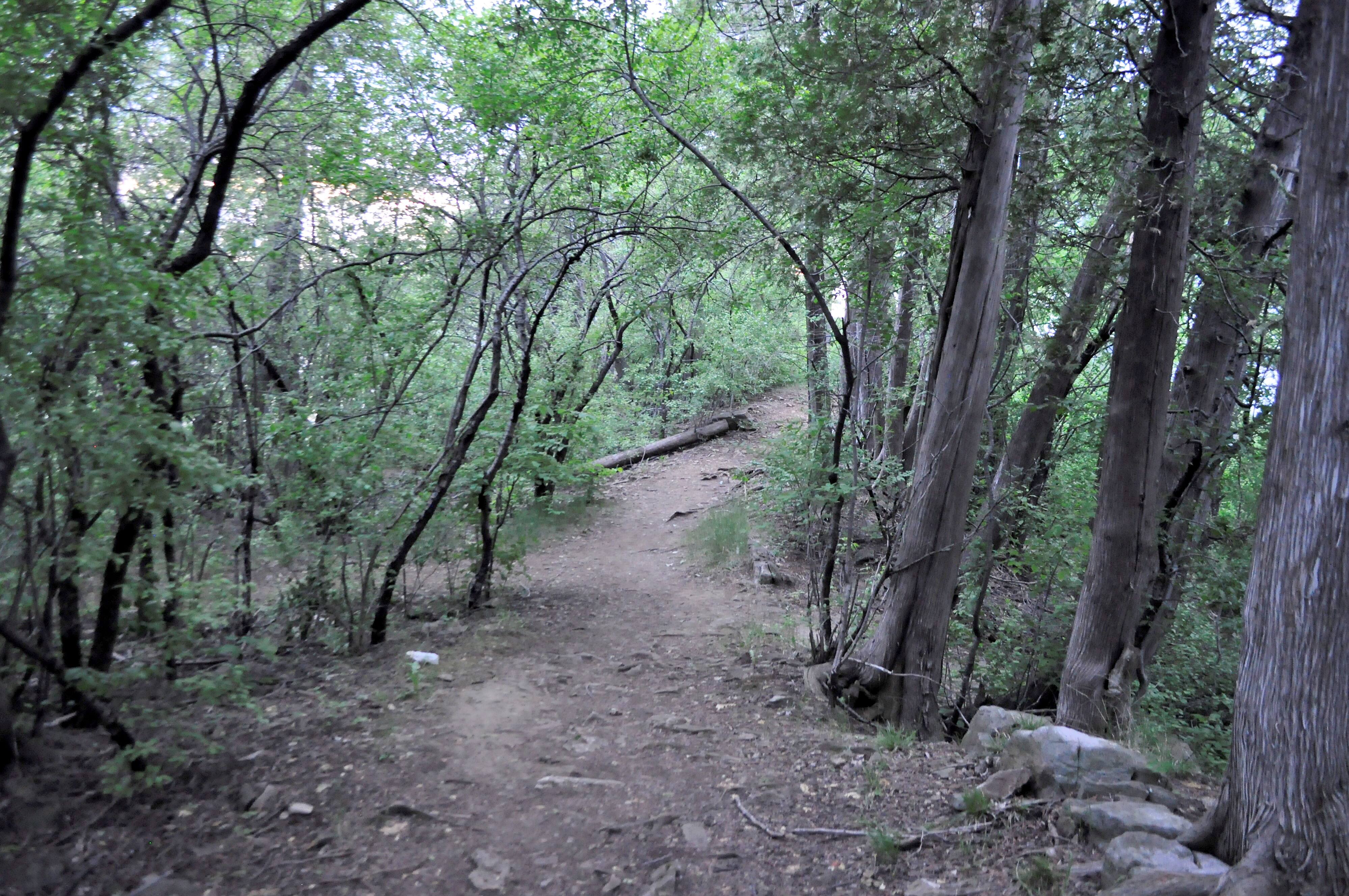 En pleine nature à l’île Bizard | Le Journal de Québec