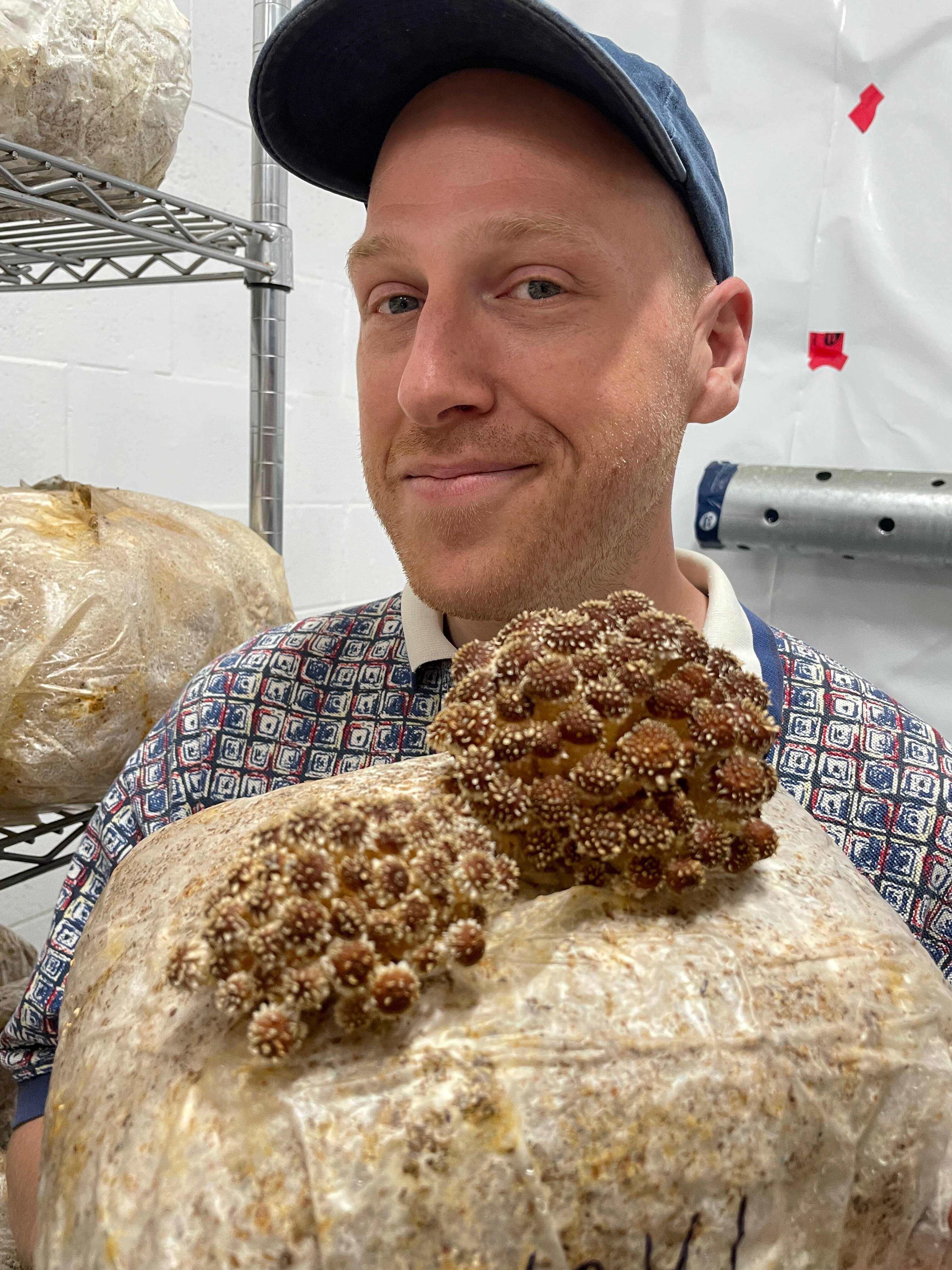 Une «ferme» de champignons en pleine métropole québécoise | JDM