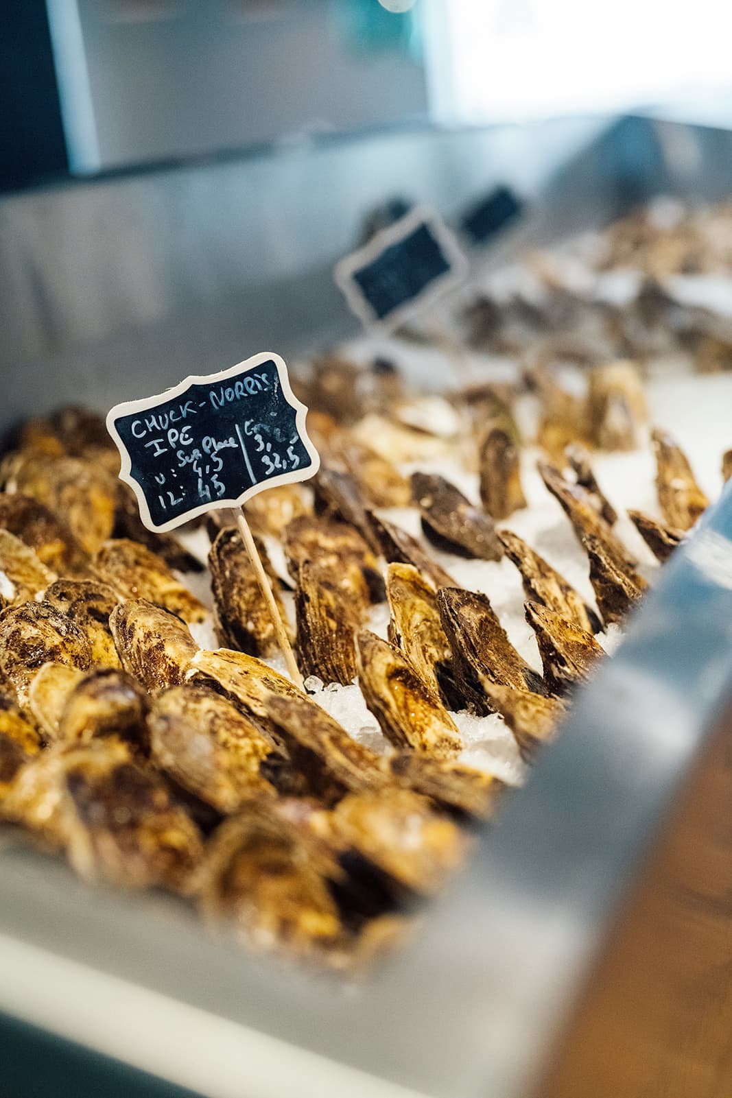 Palomar: une nouvelle poissonnerie format «tout-inclus» | JDM