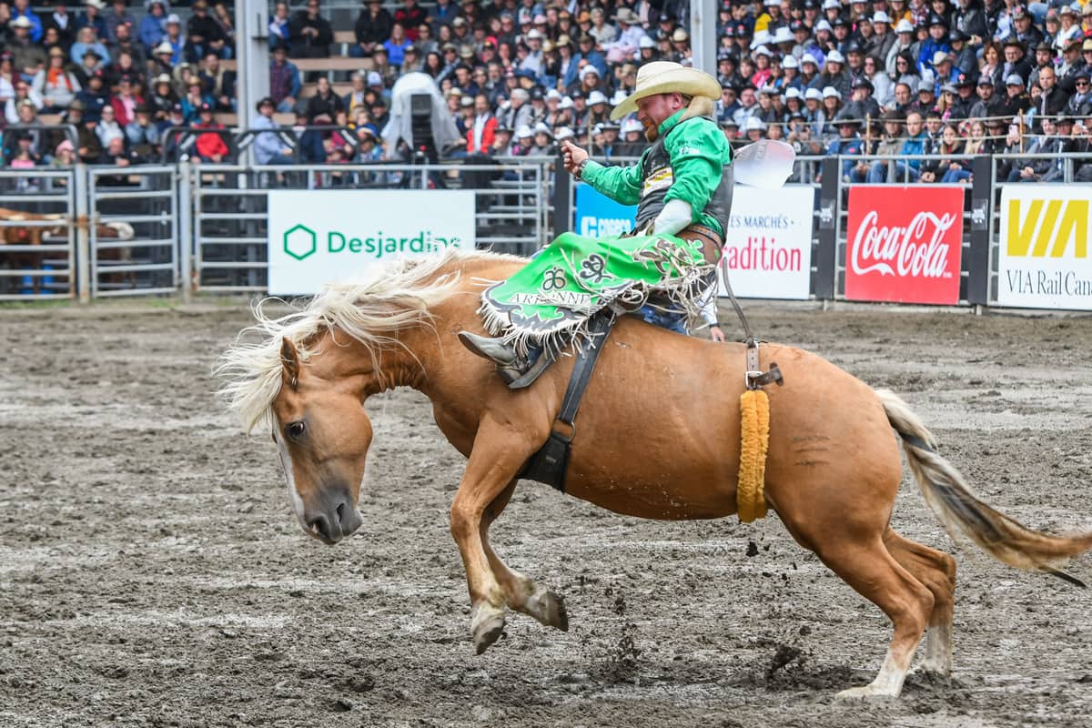 Le MAPAQ visé par une poursuite pour son inaction dans un dossier de ...