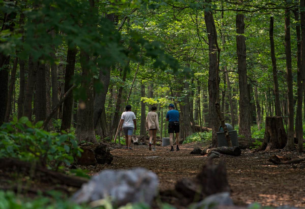 Trois idées de promenades en nature à Montréal (ailleurs qu'au parc du ...