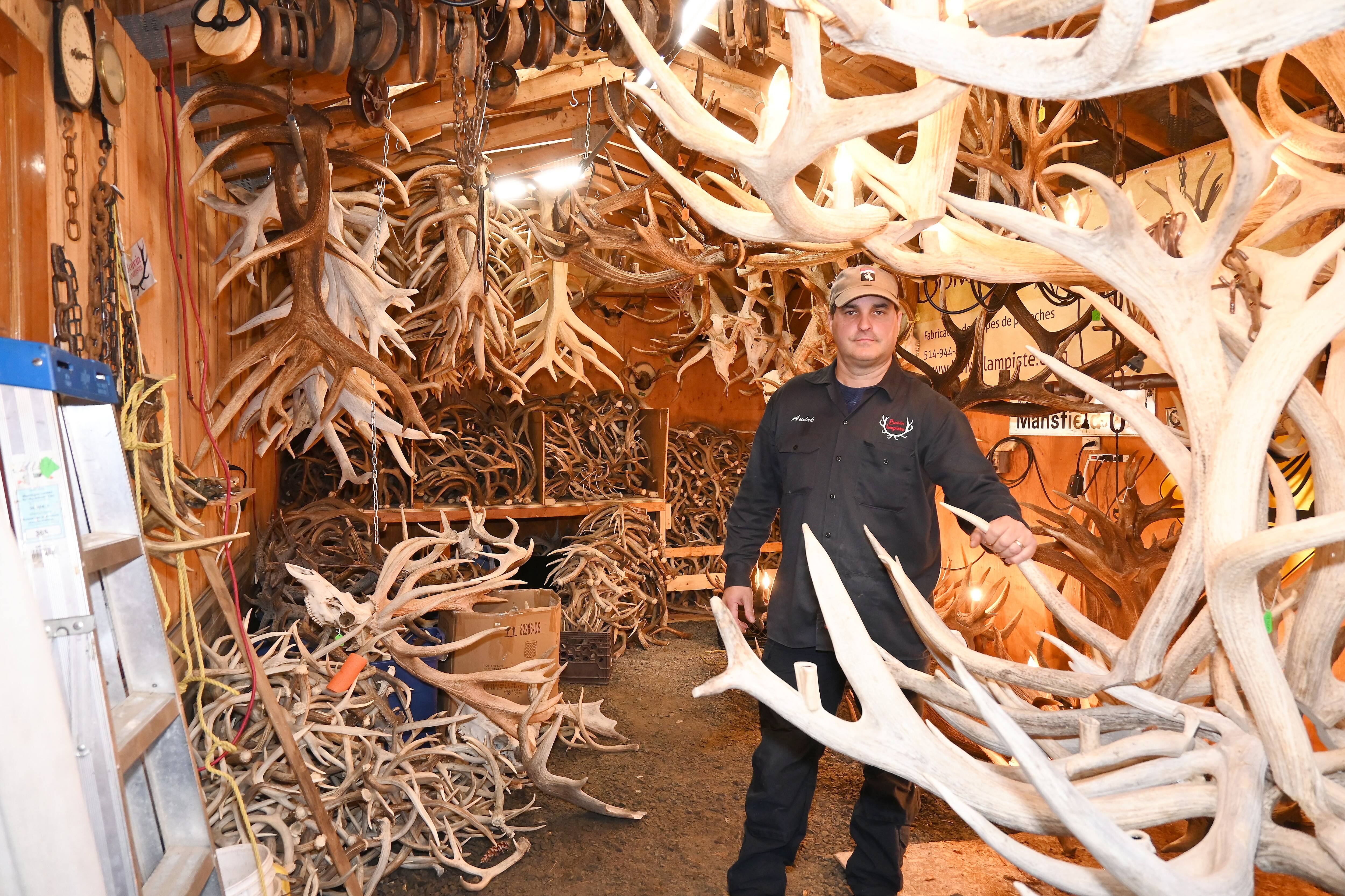 Des lampes qui ont beaucoup de panache | JDM