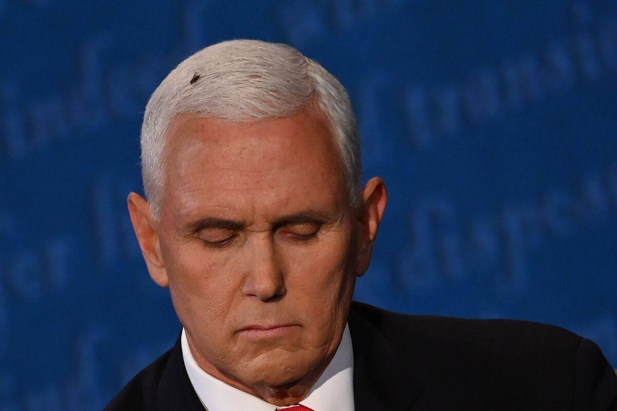 Une mouche vole la vedette lors du débat Pence-Harris | JDM