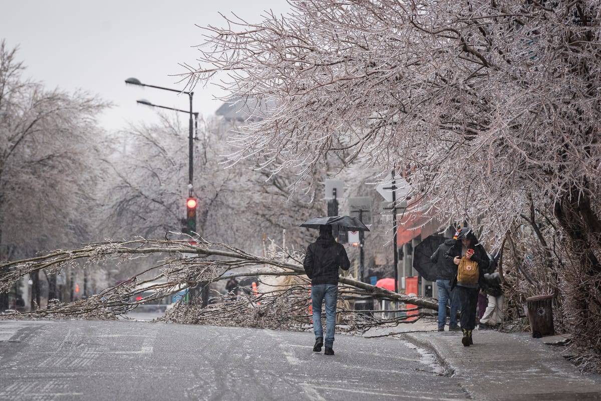 Tempête de verglas: «Ça va être sous contrôle très rapidement», croit ...
