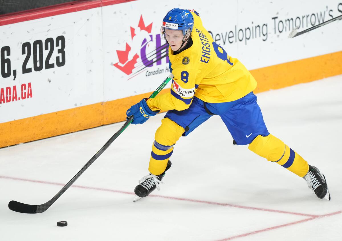 Engstrom «jouera longtemps dans la LNH», prédit un ancien défenseur du ...