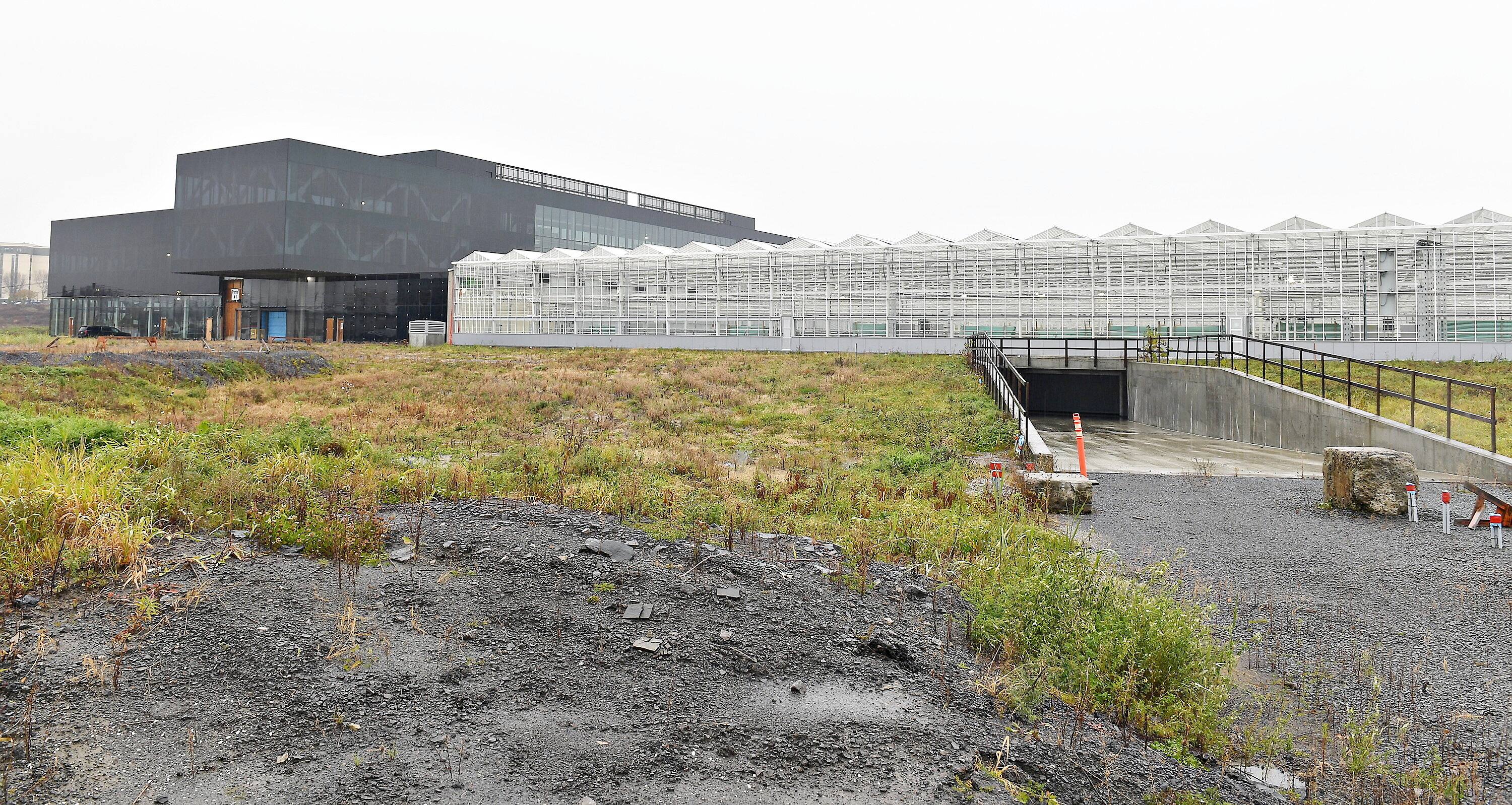 Le complexe de Medicago est vendu pour 17 M$ | JDQ