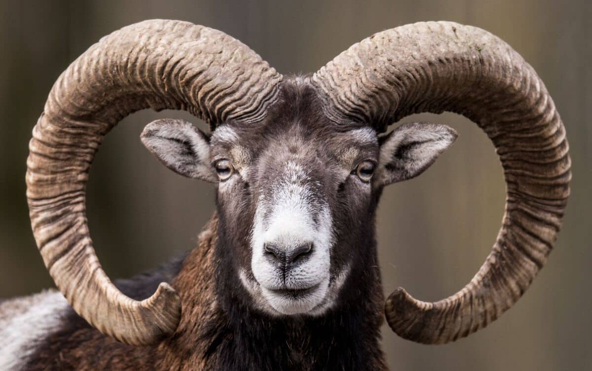 Un Américain plaide coupable d'avoir tenté de créer génétiquement une ...