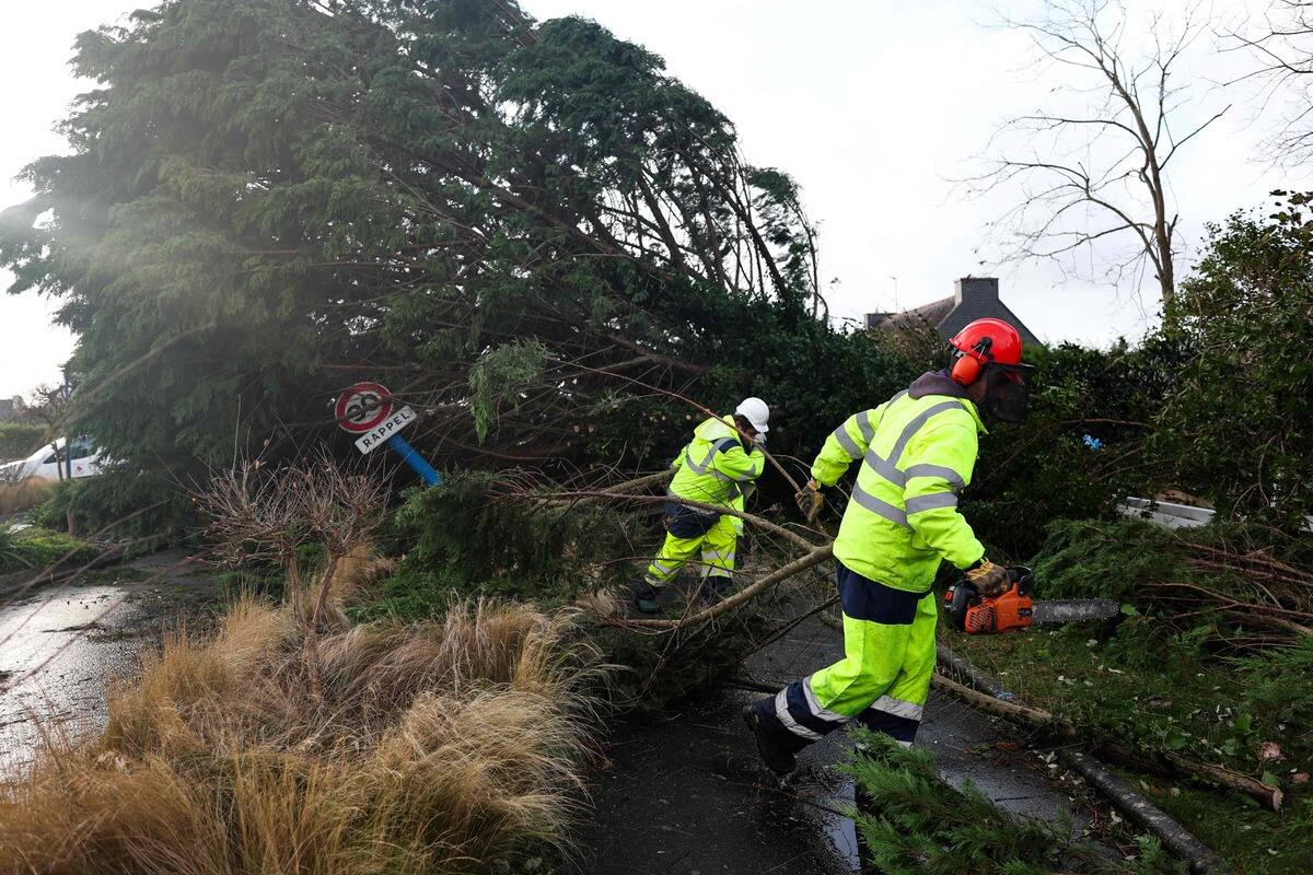 La tempête Ciaran fait au moins 7 morts et perturbe les transports en ...