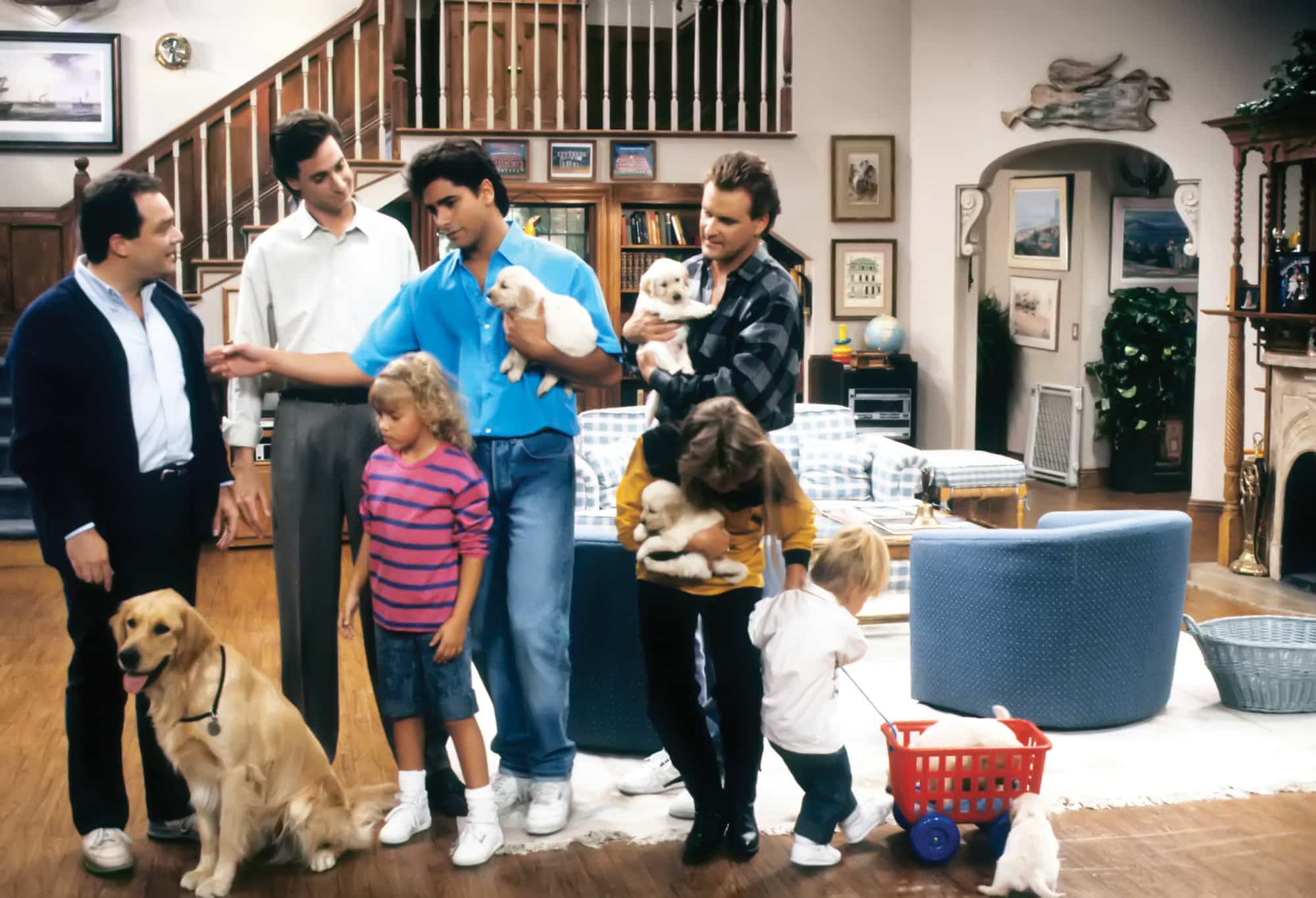 Voici notre palmarès des 10 chiens les plus marquants de la télé | 7 Jours