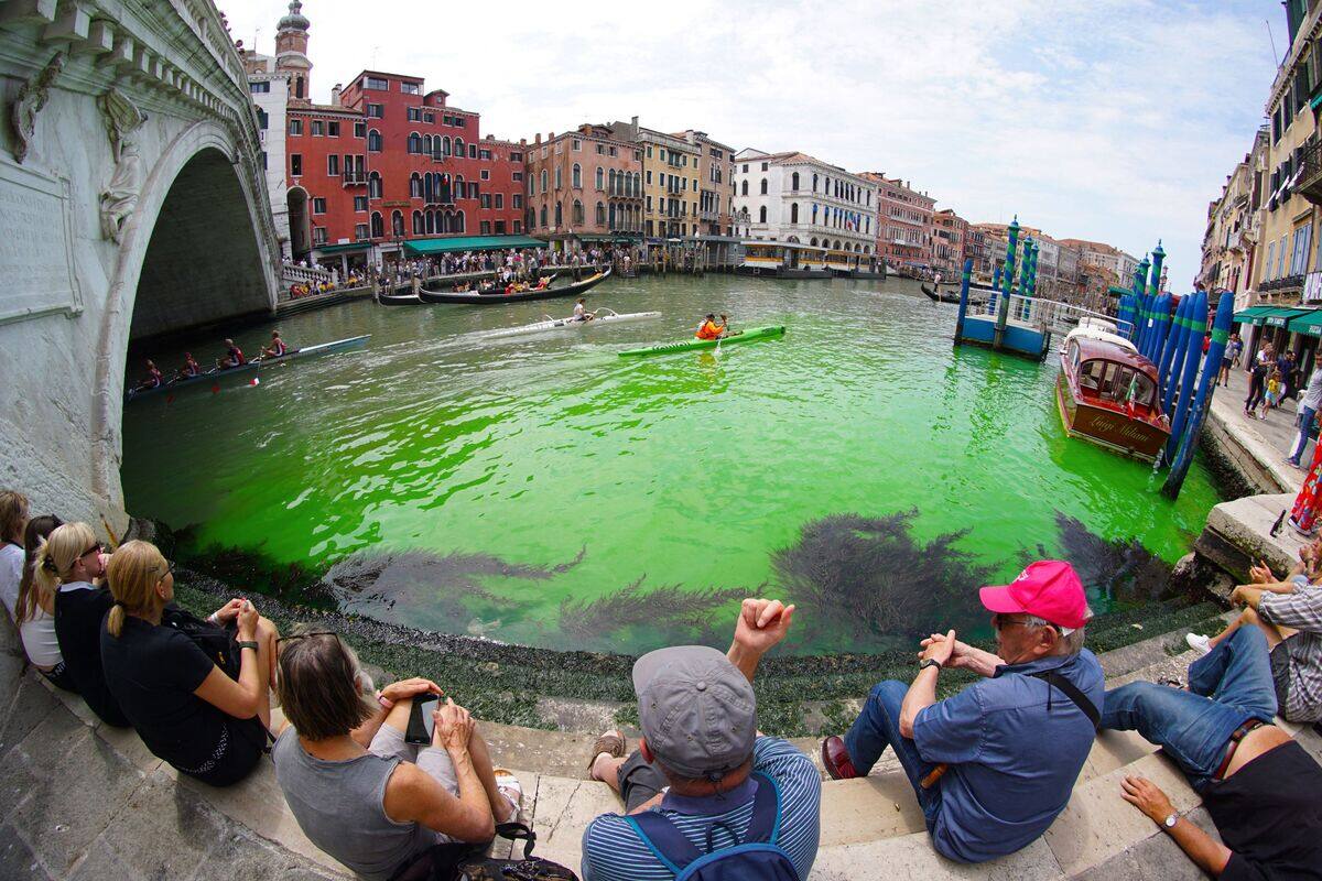 Le Grand Canal de Venise vire au vert: la cause enfin connue | JDQ