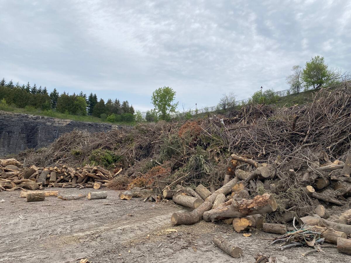Verglas: jusqu’au milieu de l’été pour ramasser les branches dans les ...