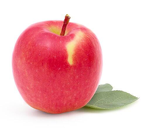 La pomme est le fruit le plus populaire du Québec... mais il ne vient ...