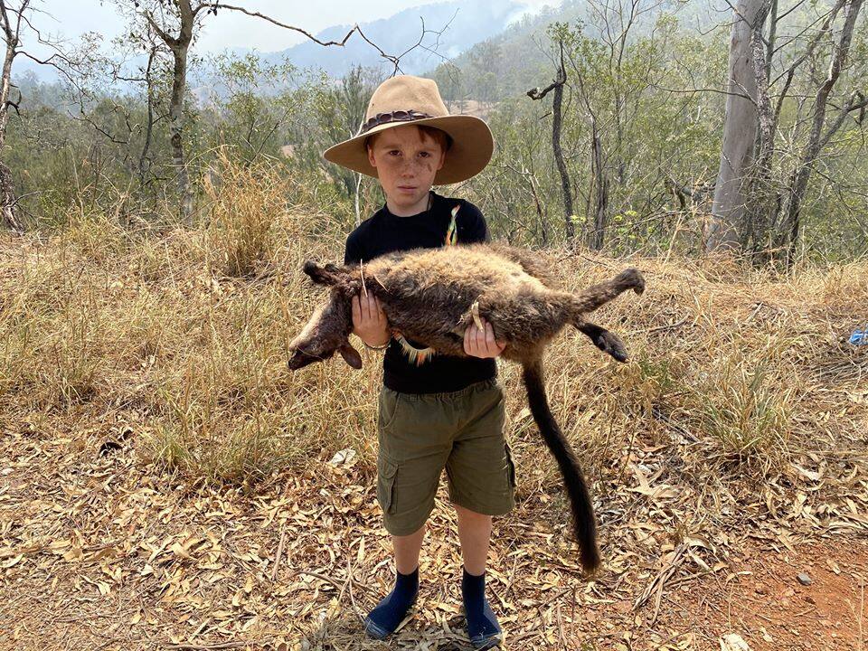 Un jeune garçon tenant un wallaby mort en Australie émeut le web | JDQ