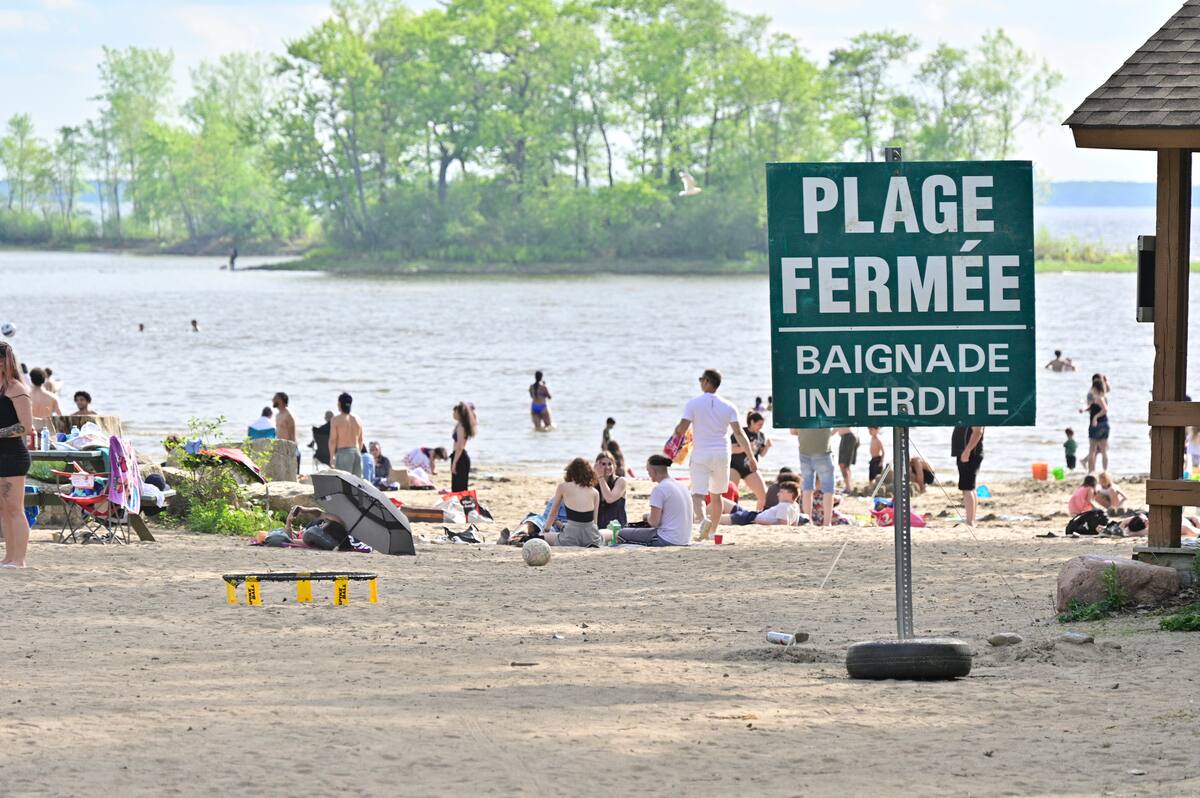 Montreal: the beach of the Cap-Saint-Jacques nature park closed – Archyde
