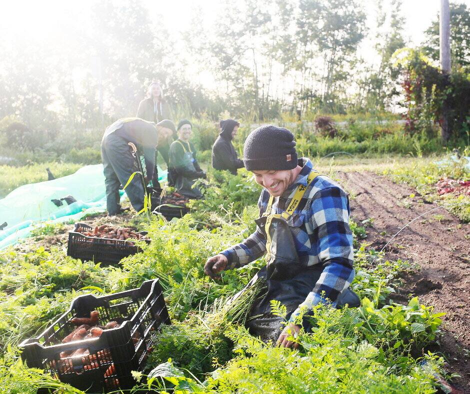 Cultures maraîchères: «On espérait voir un engouement pour l’achat ...