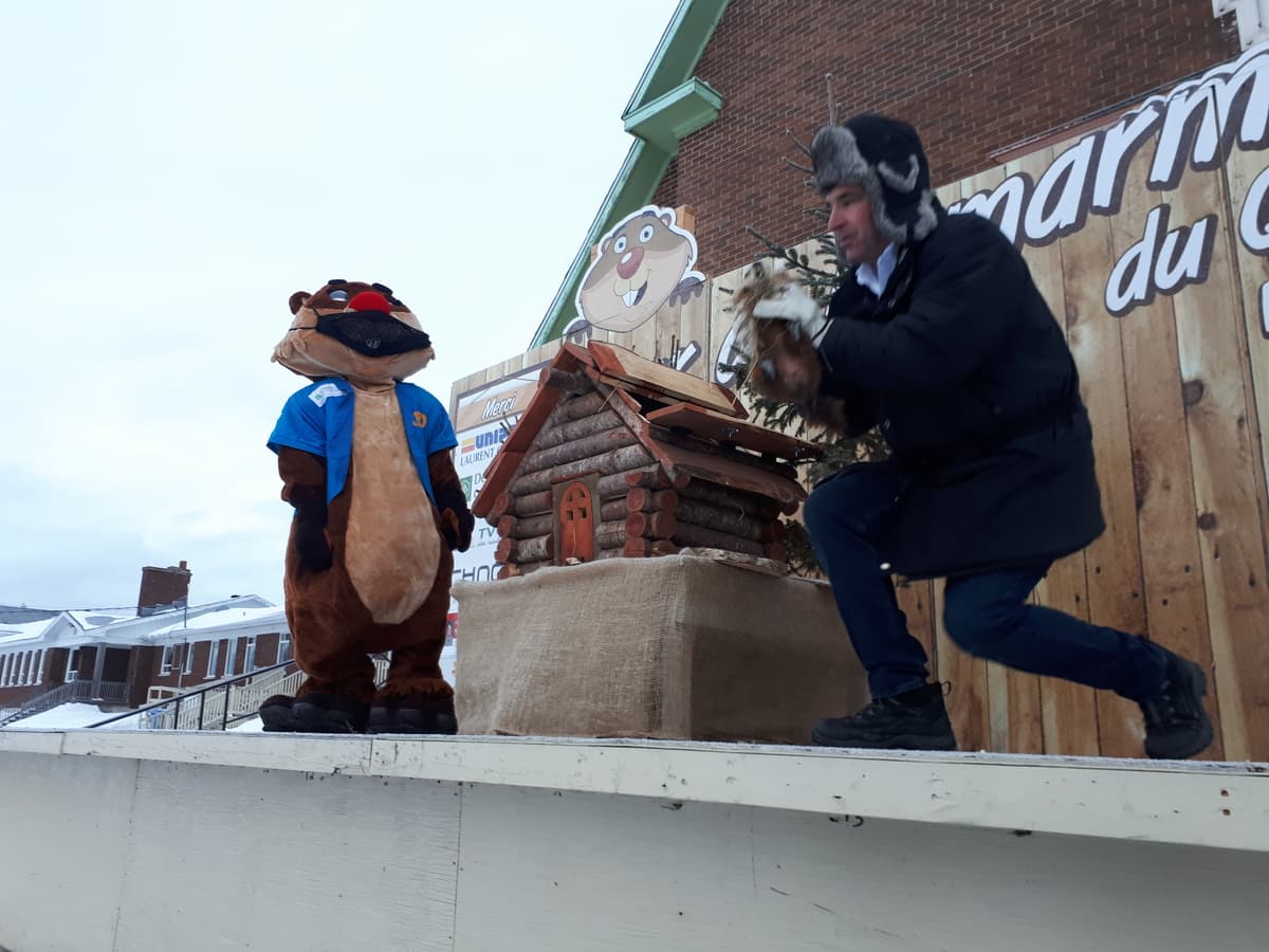 Jour de la Marmotte: d’où vient la curieuse tradition | JDM