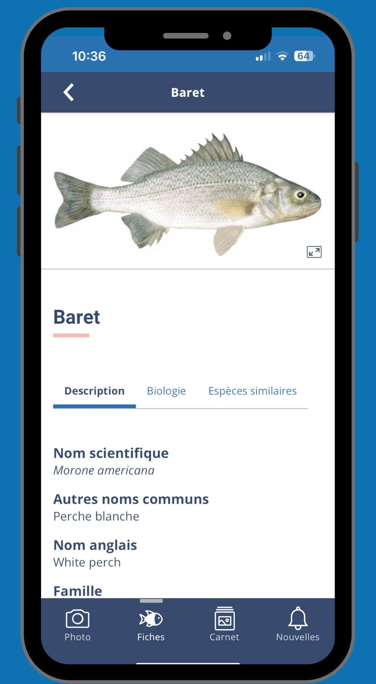 L’intelligence artificielle au service des pêcheurs | JDM