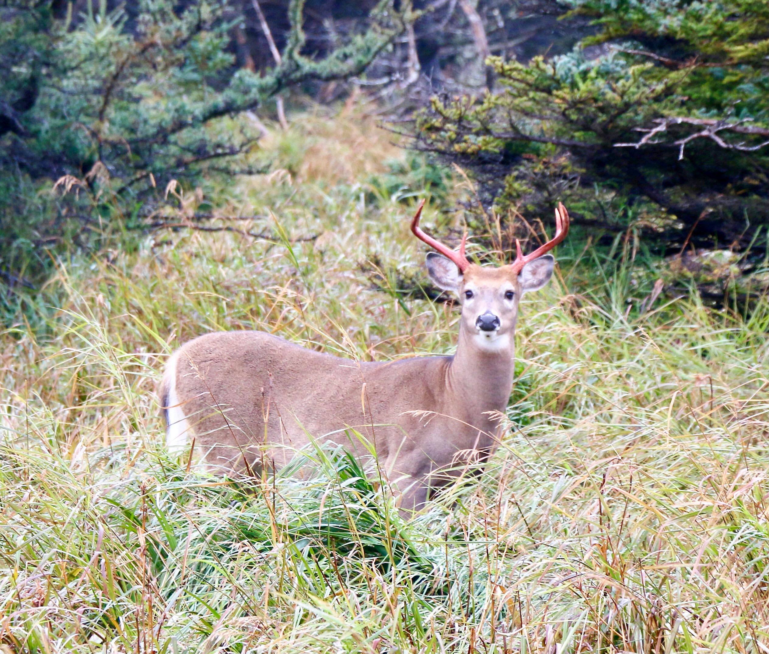 Les nouveautés de Jimmy Giguère | Le Journal de Québec