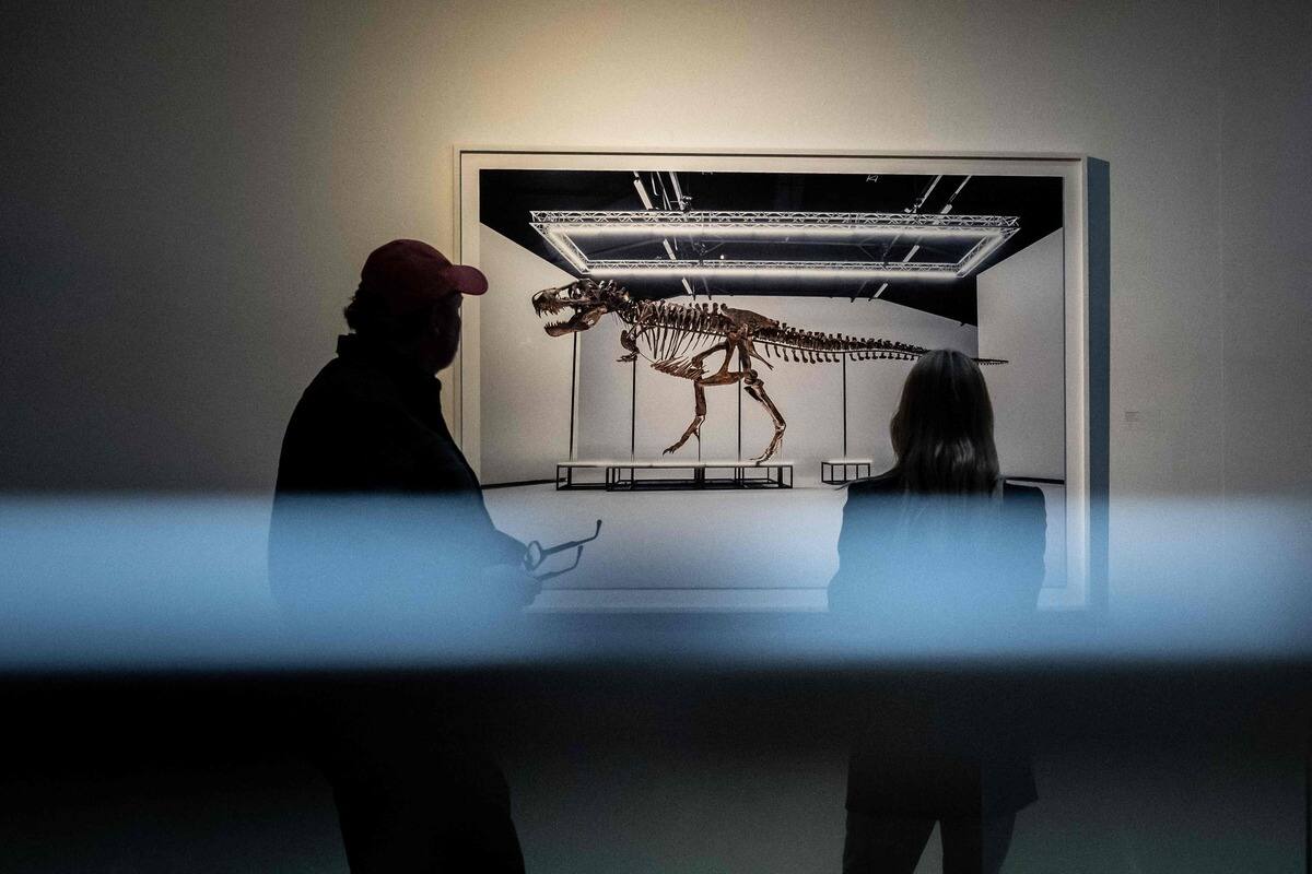 Un squelette composite de T-Rex vendu près de 5,6 millions d’euros aux ...