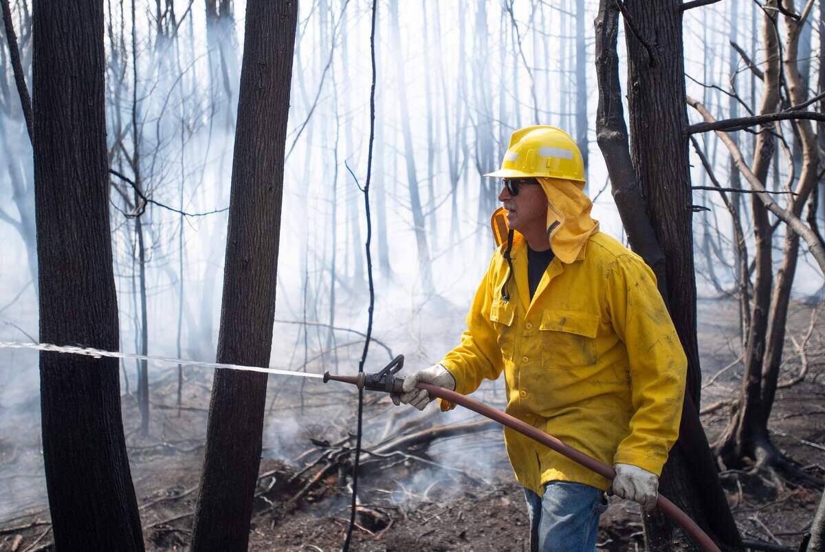 Un homme de 19 ans accusé d'être à l'origine d'un feu de forêt de 6 000 ...