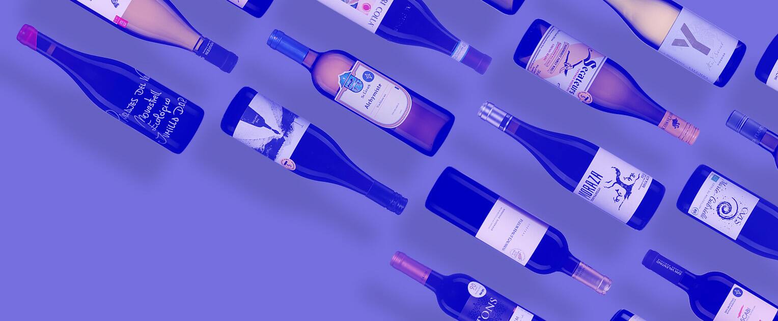 Les meilleurs vins à moins de 20$ dans «Le guide du vin» | JDM