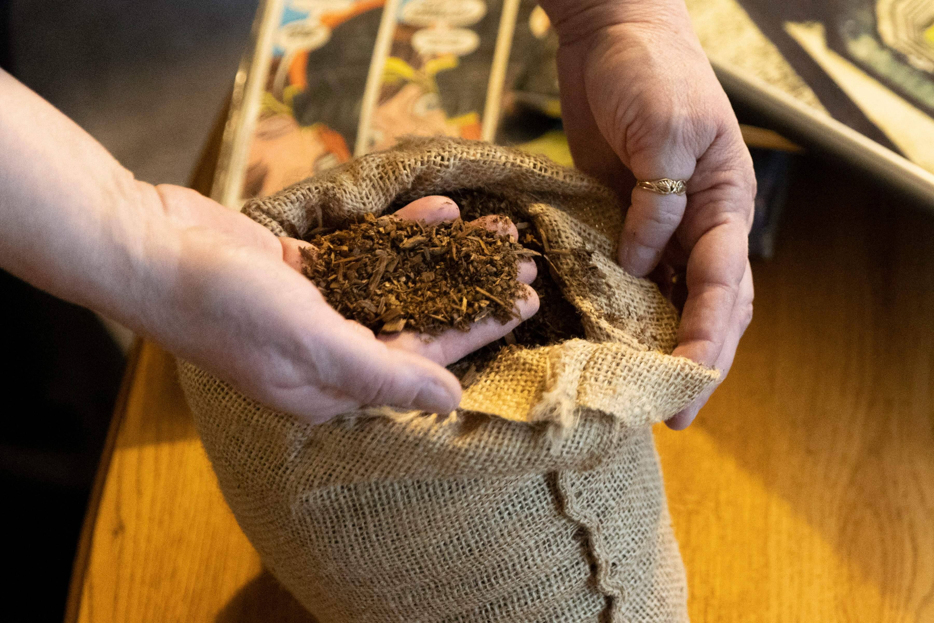 Aux États-Unis, un mouvement prône des enterrements éco-responsables ...