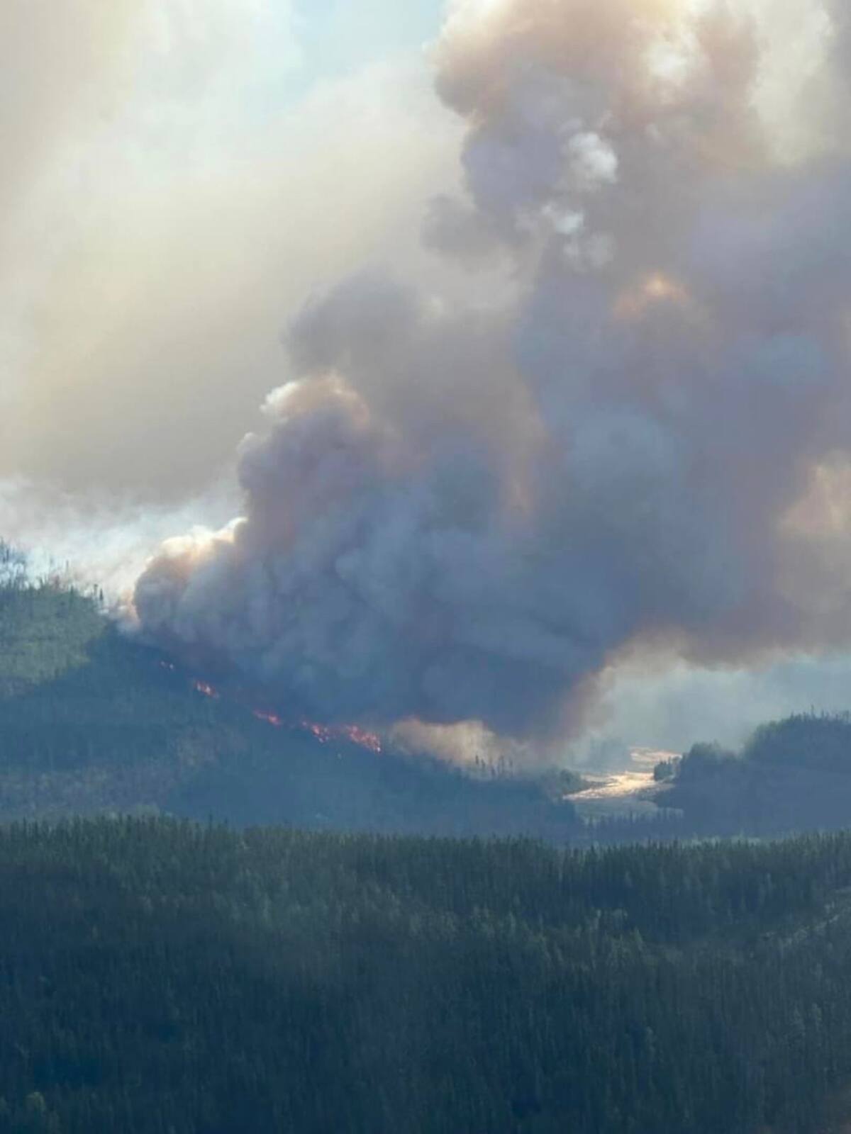 Les feux de forêt en chiffres: 35 000 hectares brûlés en moins de 4 jours | TVA Nouvelles