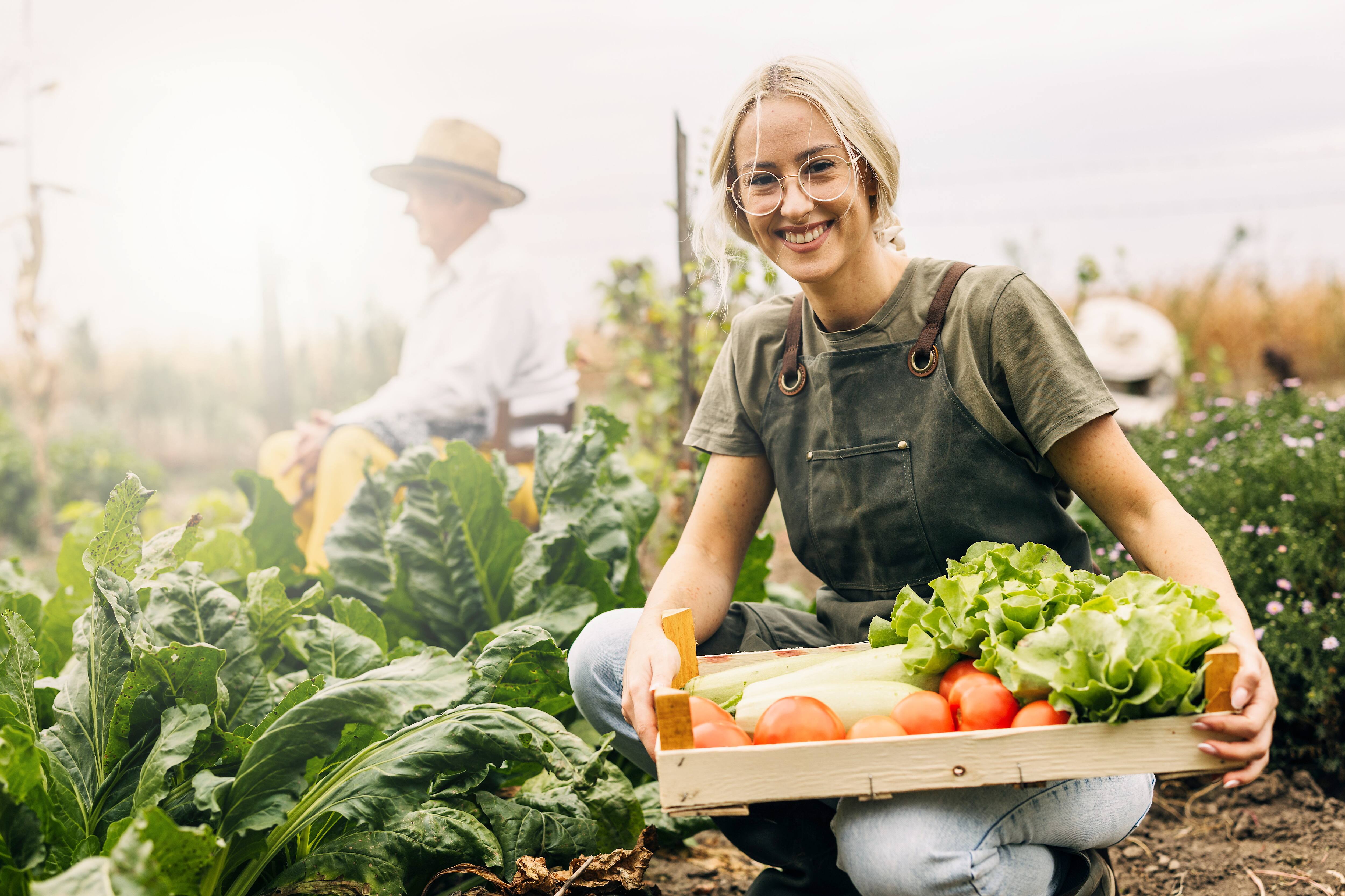 Les fruits et légumes bios: lesquels acheter et en valent-ils le prix ...