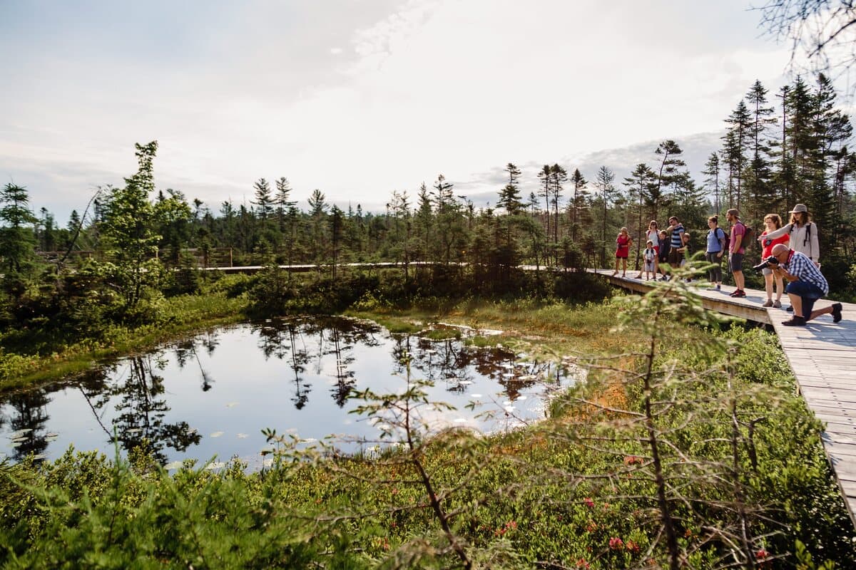 Le Québec gère mal l’érosion et la submersion de ses berges | JDQ