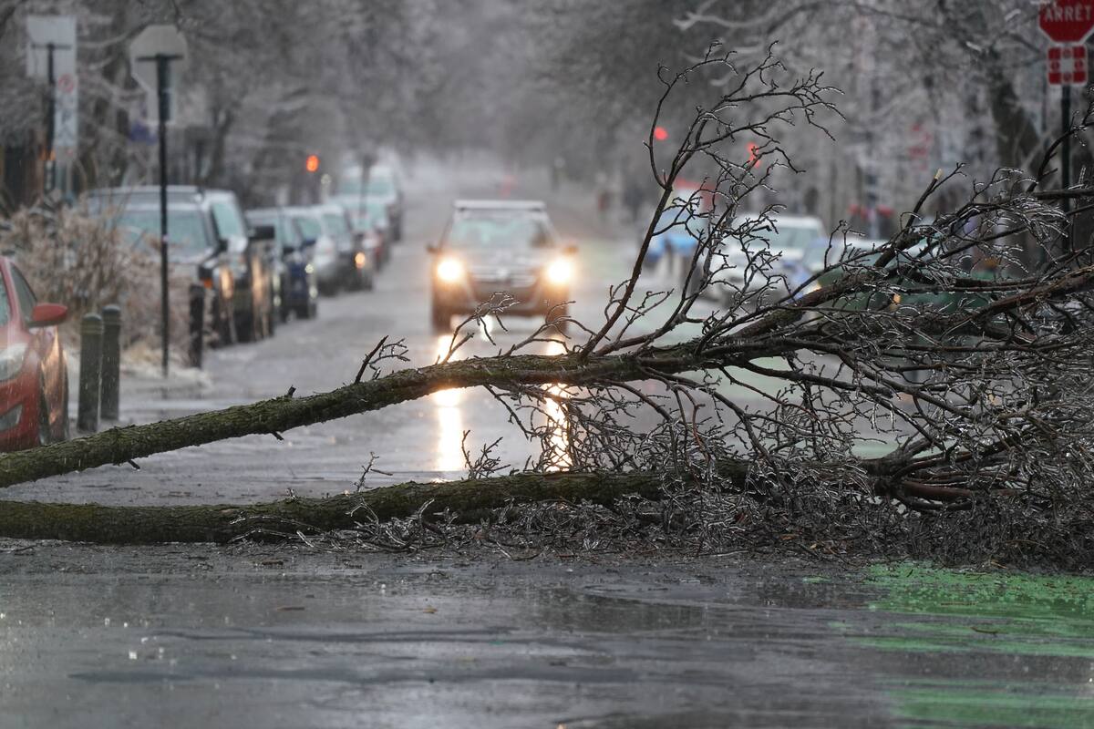 La pire tempête de verglas depuis 1998; plus d'un million de foyers ...