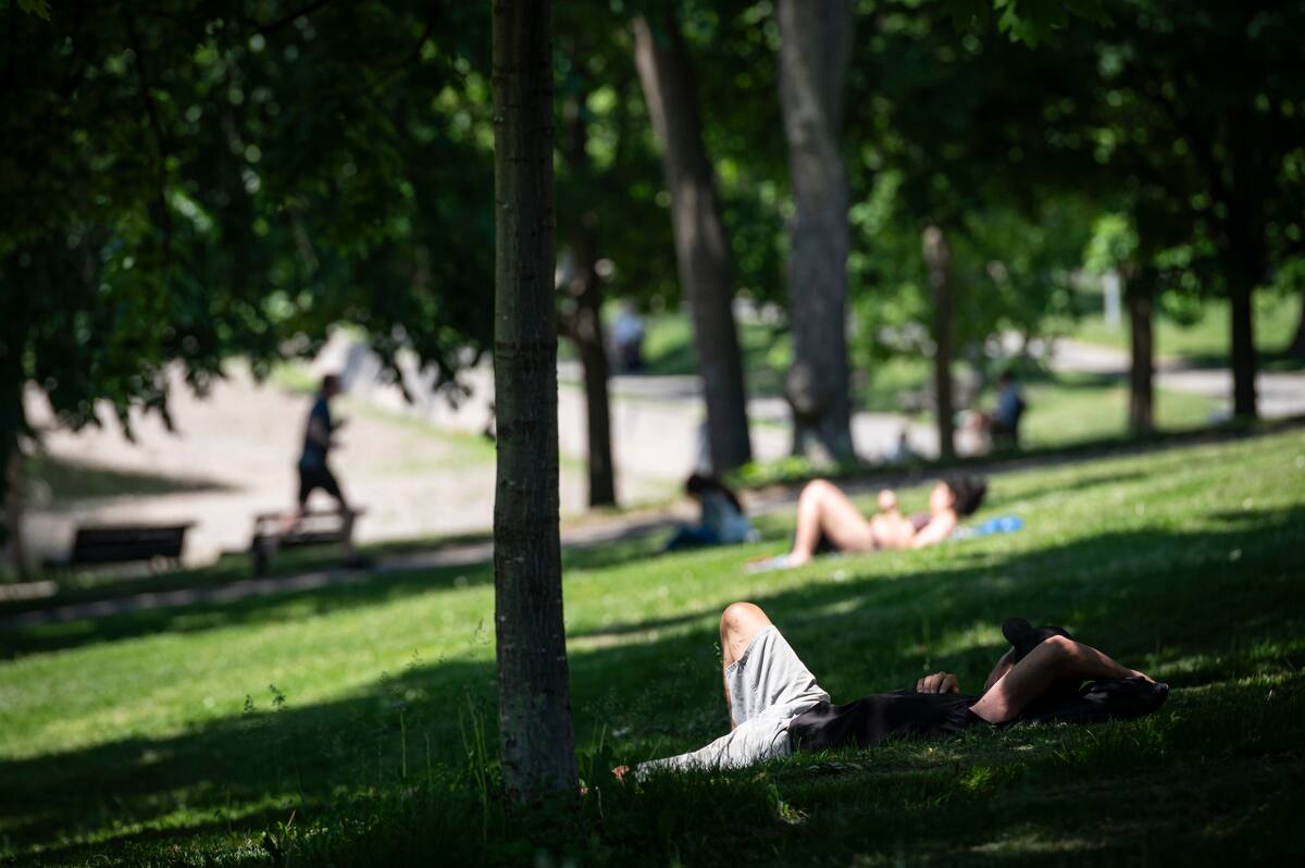 Météo: fin de semaine sous le soleil partout au Québec | TVA Nouvelles