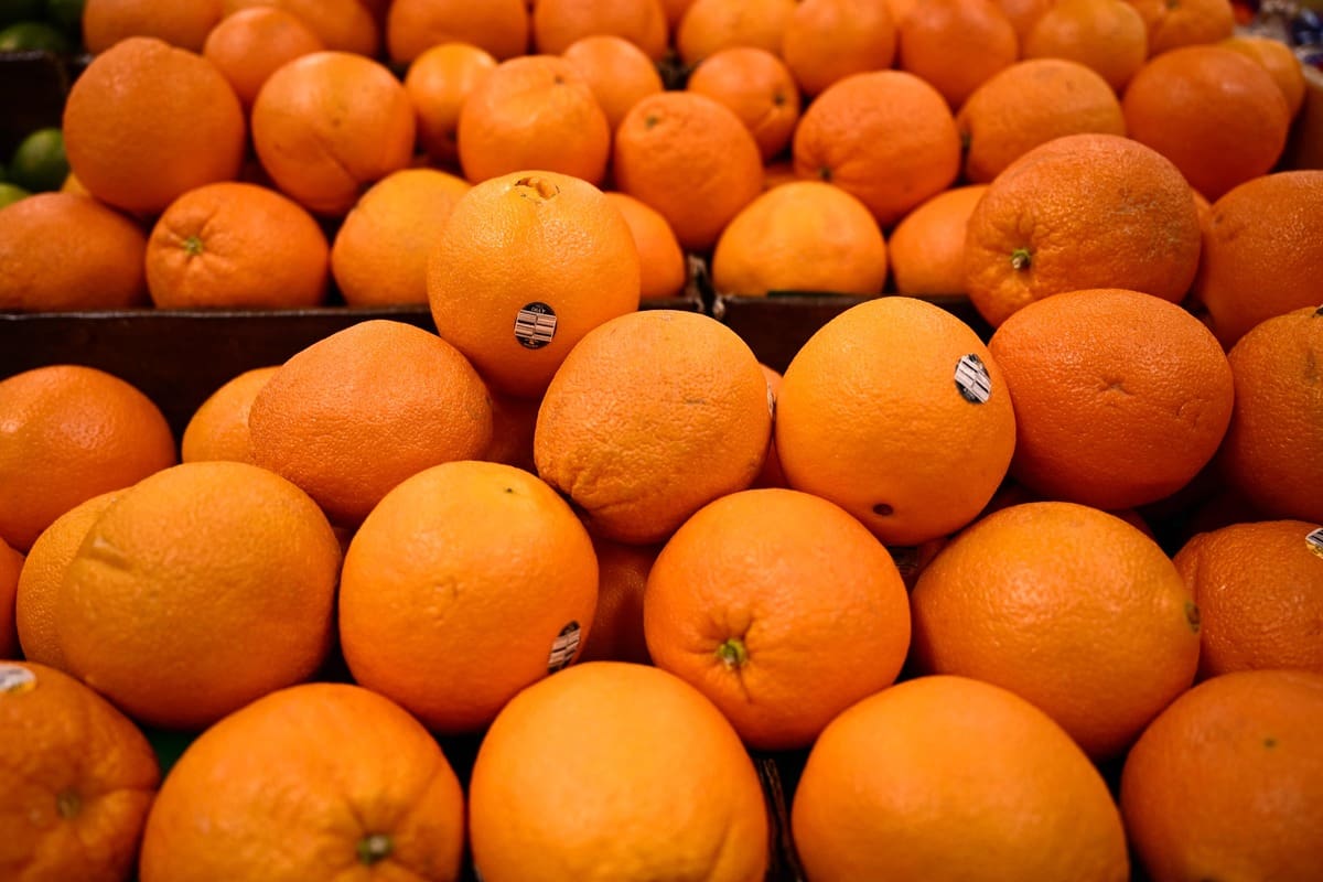 Florida's already weak orange harvest expected to suffer from Hurricane ...