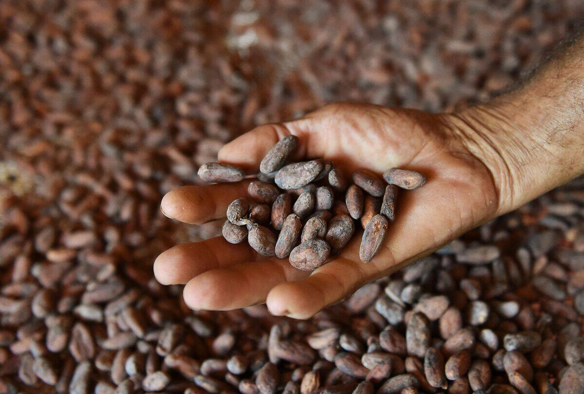 Préparez-vous, le prix du chocolat va bondir! | TVA Nouvelles